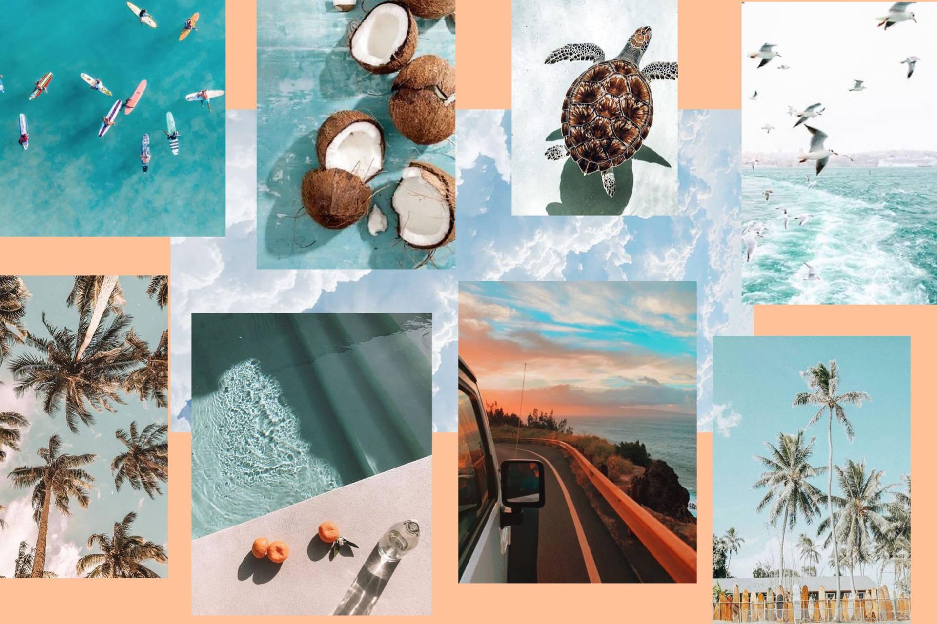 Ocean Collage Wallpapers - Top Free Ocean Collage Backgrounds ...