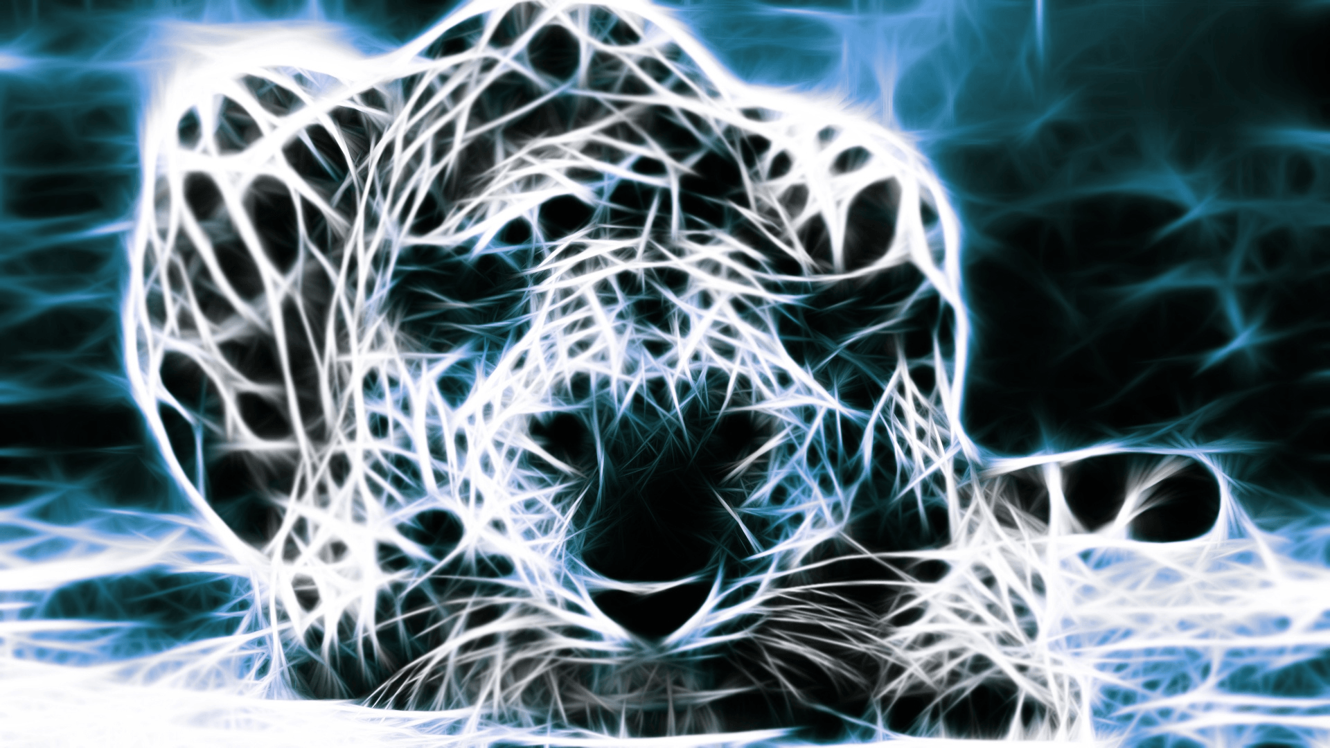 Cheetah Cool Wallpapers - Top Free Cheetah Cool Backgrounds ...