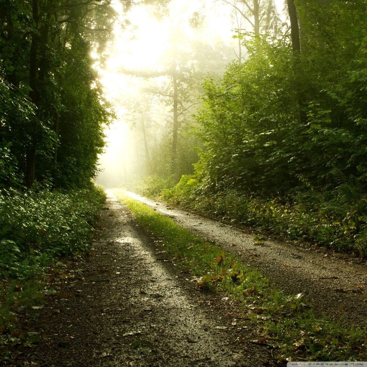 Indie Nature Wallpapers - Top Free Indie Nature Backgrounds ...