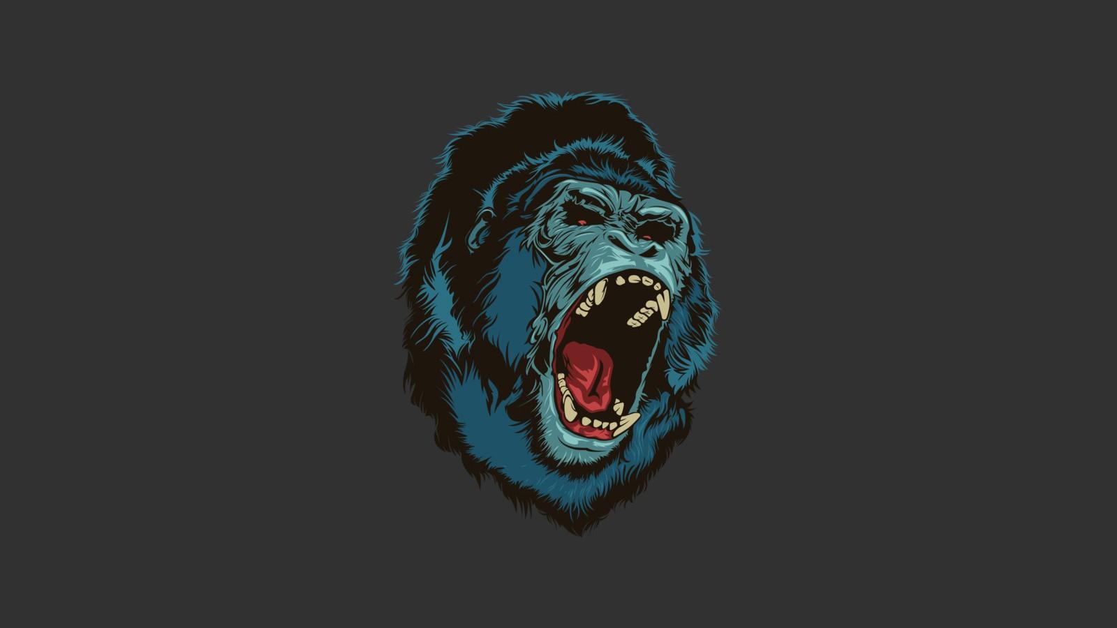 Smoking Monkey Wallpapers - Top Free Smoking Monkey Backgrounds ...