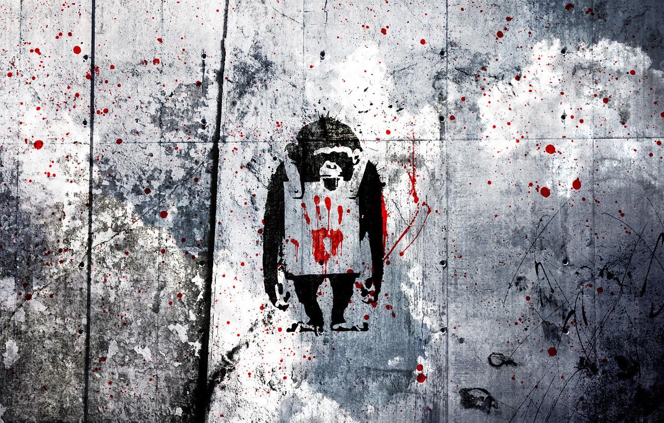 Smoking Monkey Wallpapers - Top Free Smoking Monkey Backgrounds ...