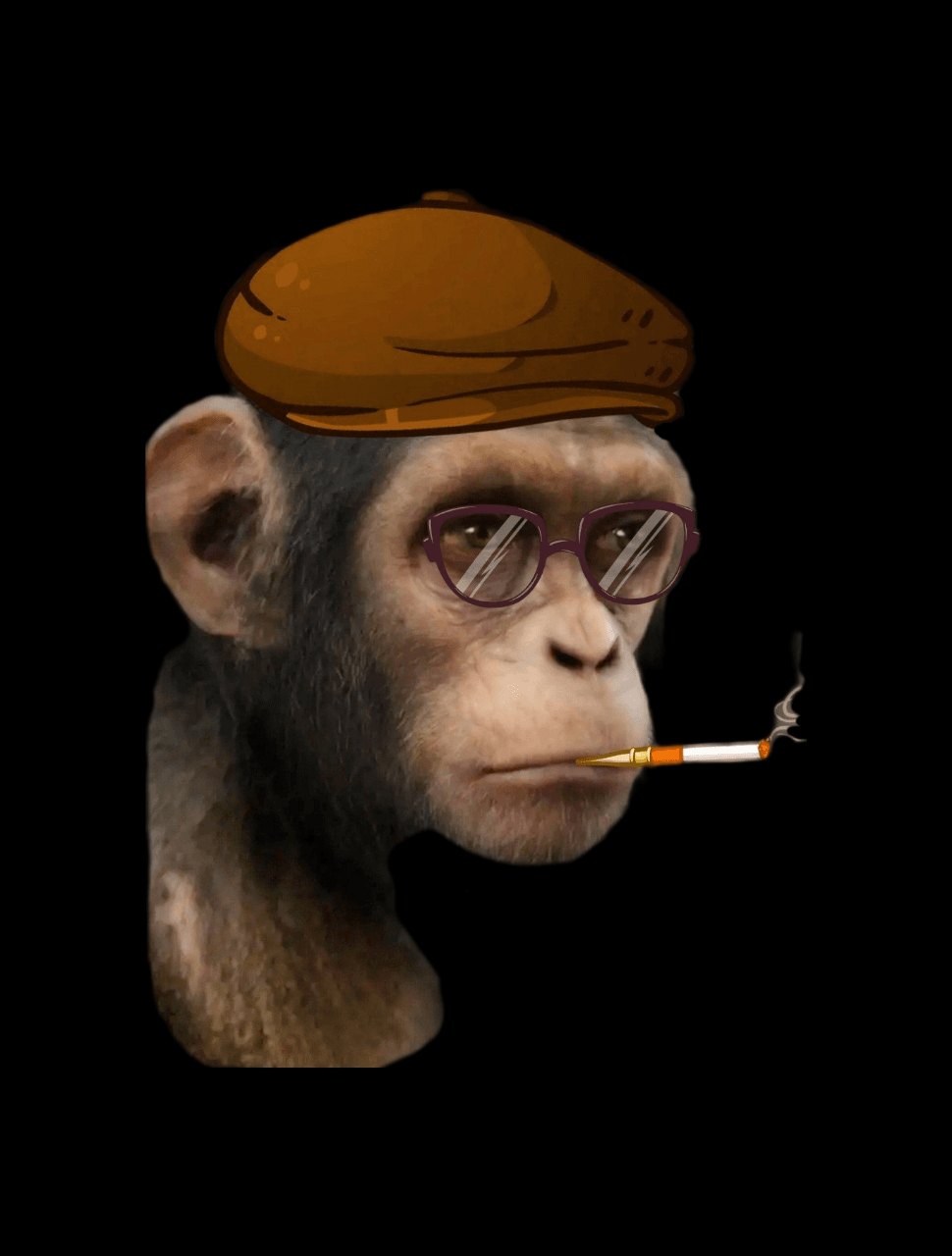 Smoking Monkey Wallpapers - Top Free Smoking Monkey Backgrounds - WallpaperAccess