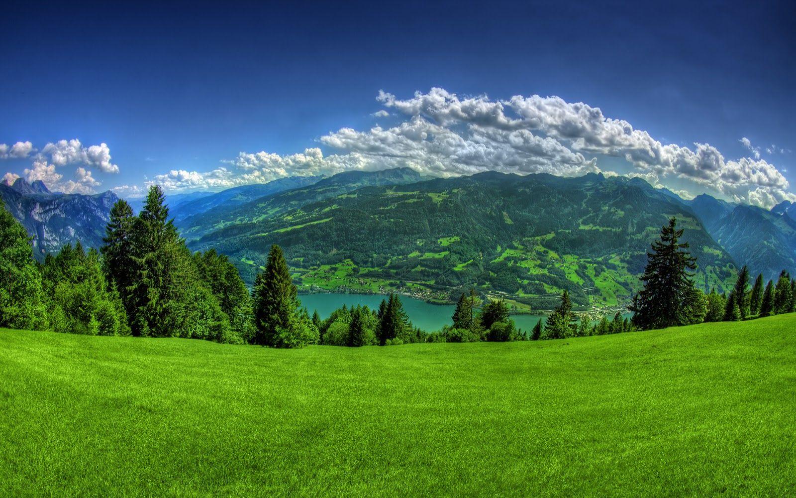 On The Ground Wallpapers - Top Free On The Ground Backgrounds ...