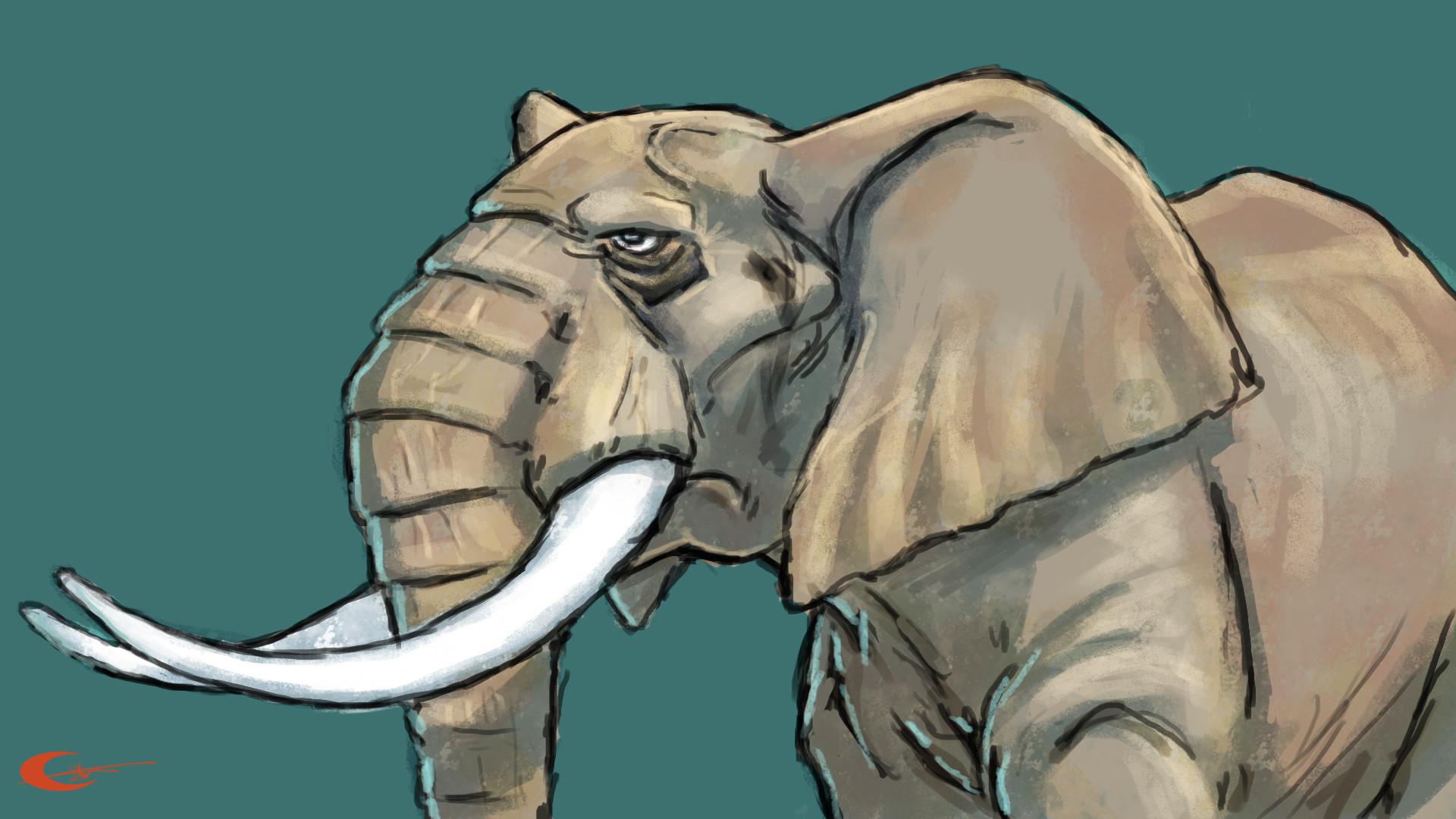 Angry Elephant Wallpapers - Top Free Angry Elephant Backgrounds - WallpaperAccess