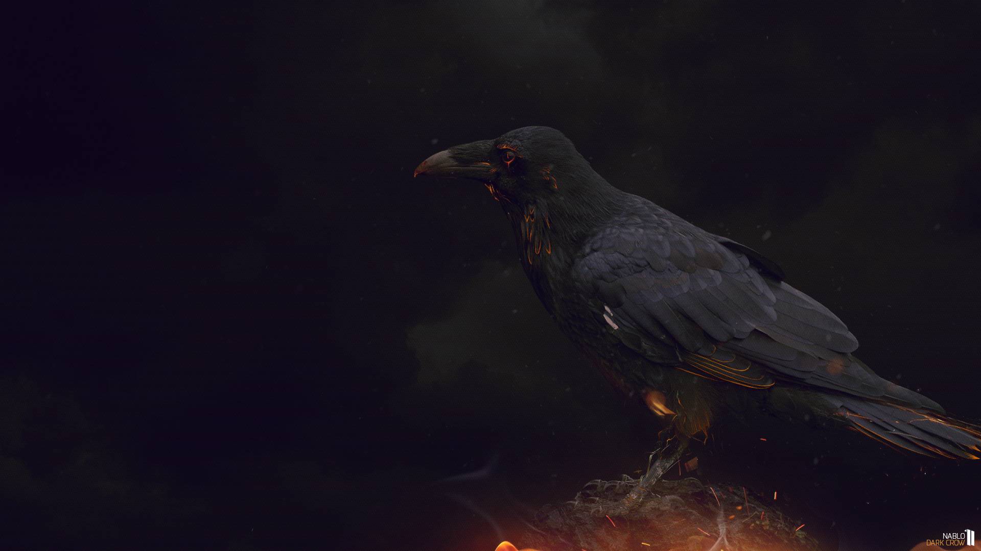 1920x1080 Crow Wallpapers - Top Free 1920x1080 Crow Backgrounds ...