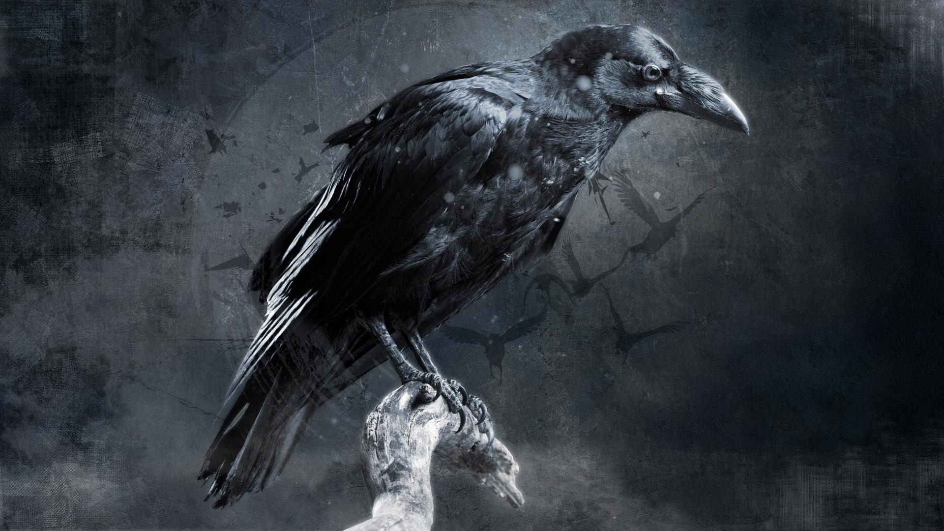 1920x1080 Crow Wallpapers - Top Free 1920x1080 Crow Backgrounds ...