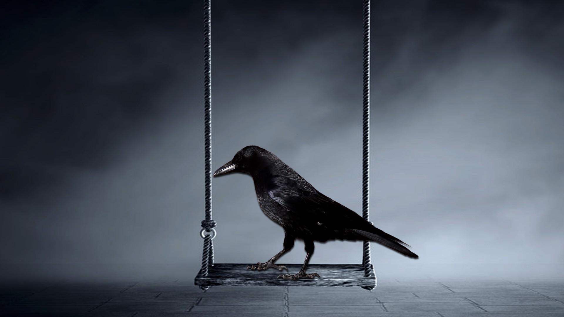 1920x1080 Crow Wallpapers - Top Free 1920x1080 Crow Backgrounds ...