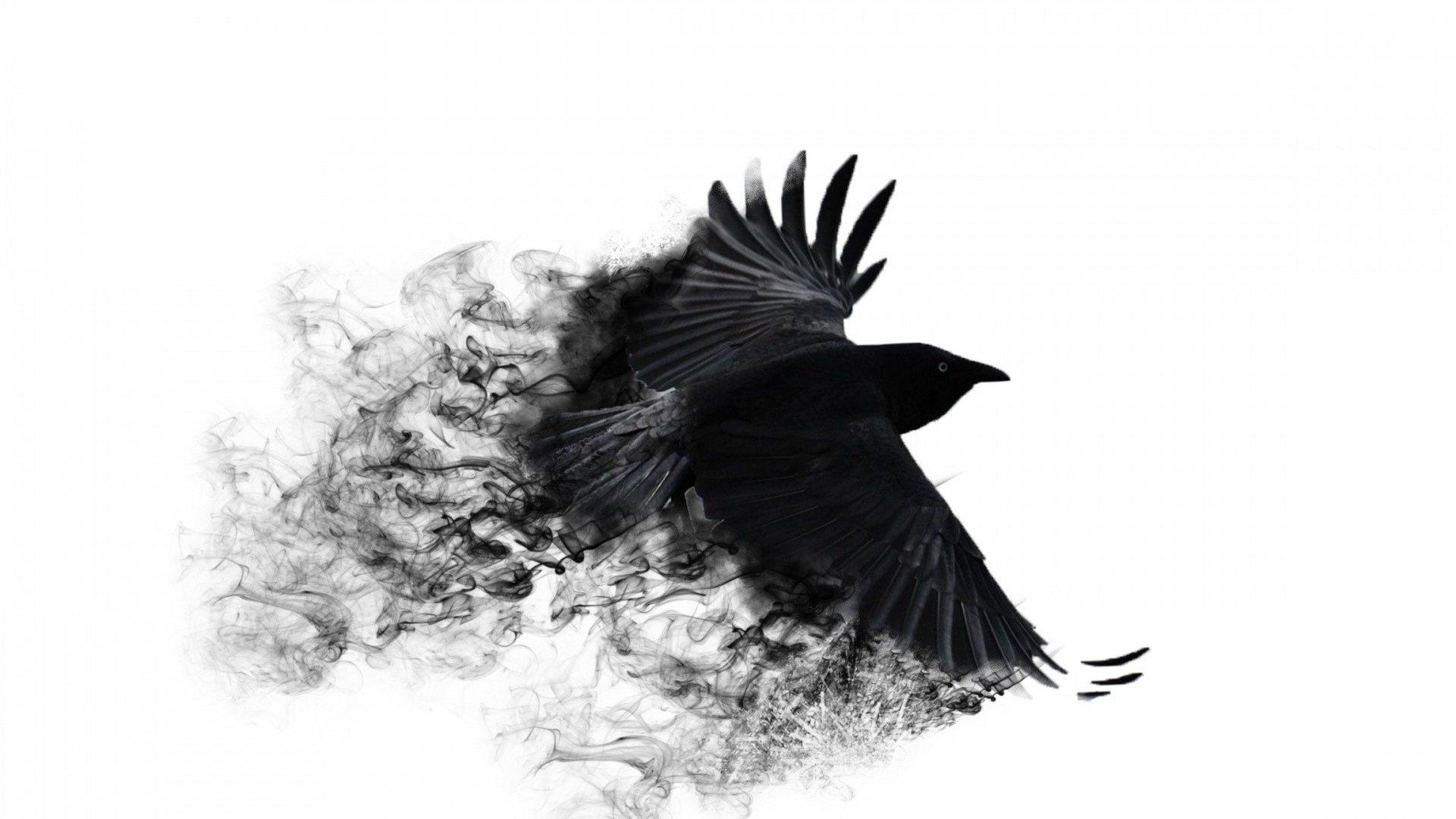 1920x1080 Crow Wallpapers - Top Free 1920x1080 Crow Backgrounds ...