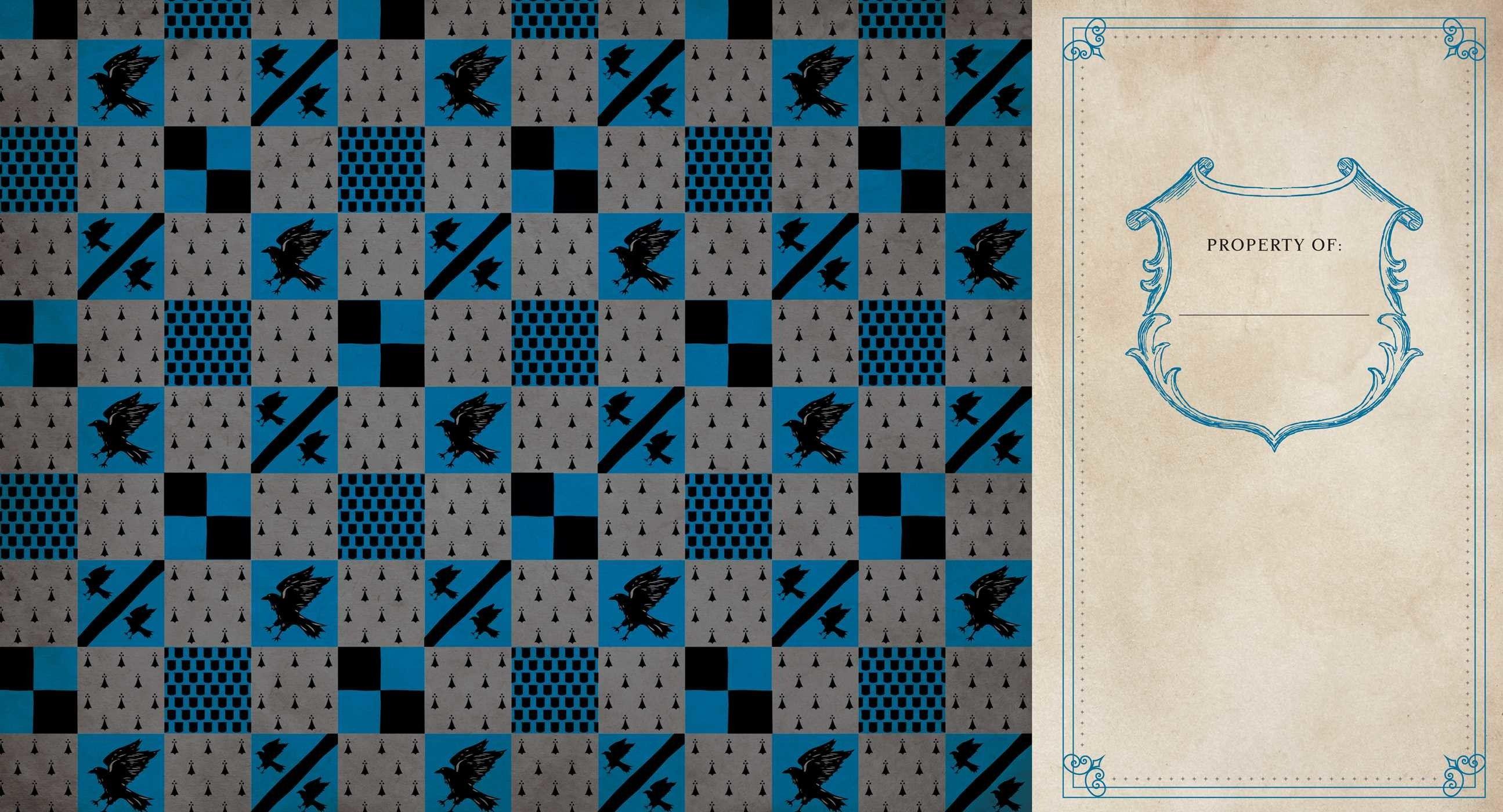 Ravenclaw Harry Potter Desktop Wallpapers - Top Free Ravenclaw Harry ...