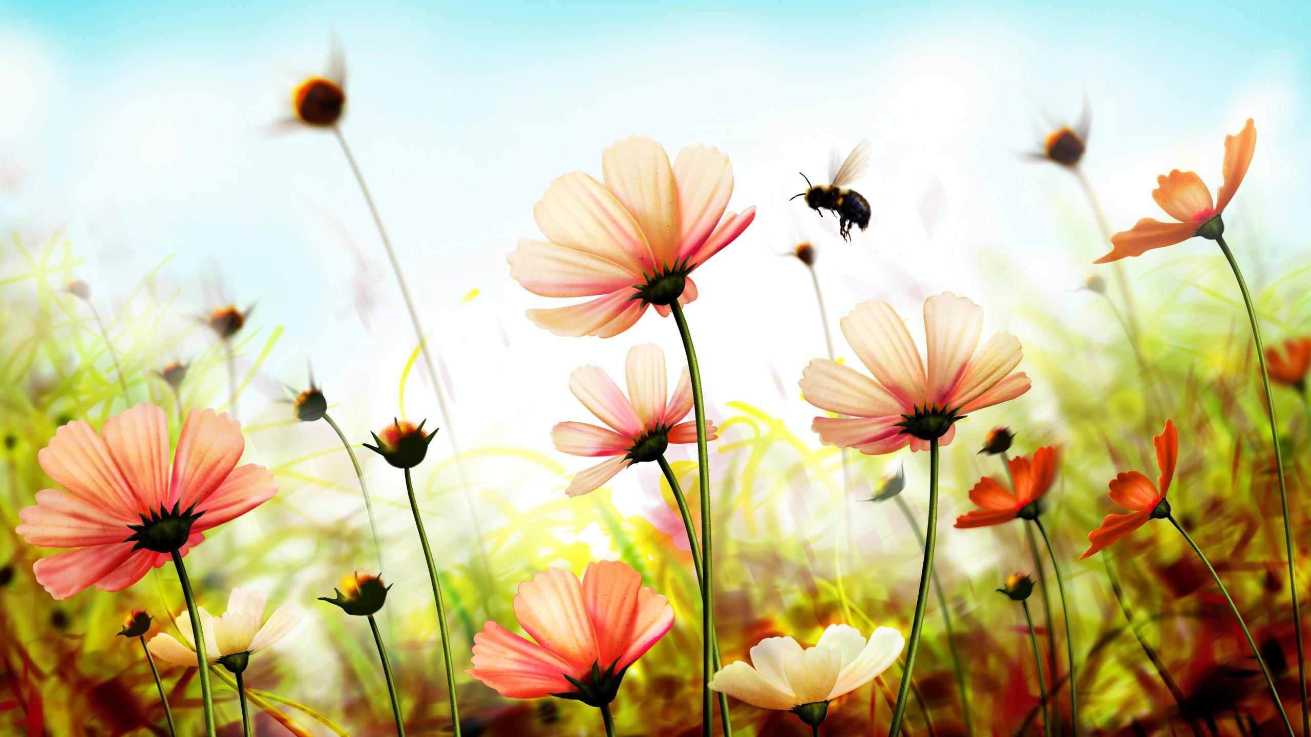 Spring Drawing Wallpapers - Top Free Spring Drawing Backgrounds ...