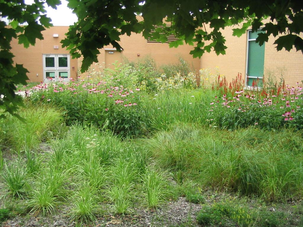 School Garden Wallpapers - Top Free School Garden Backgrounds ...