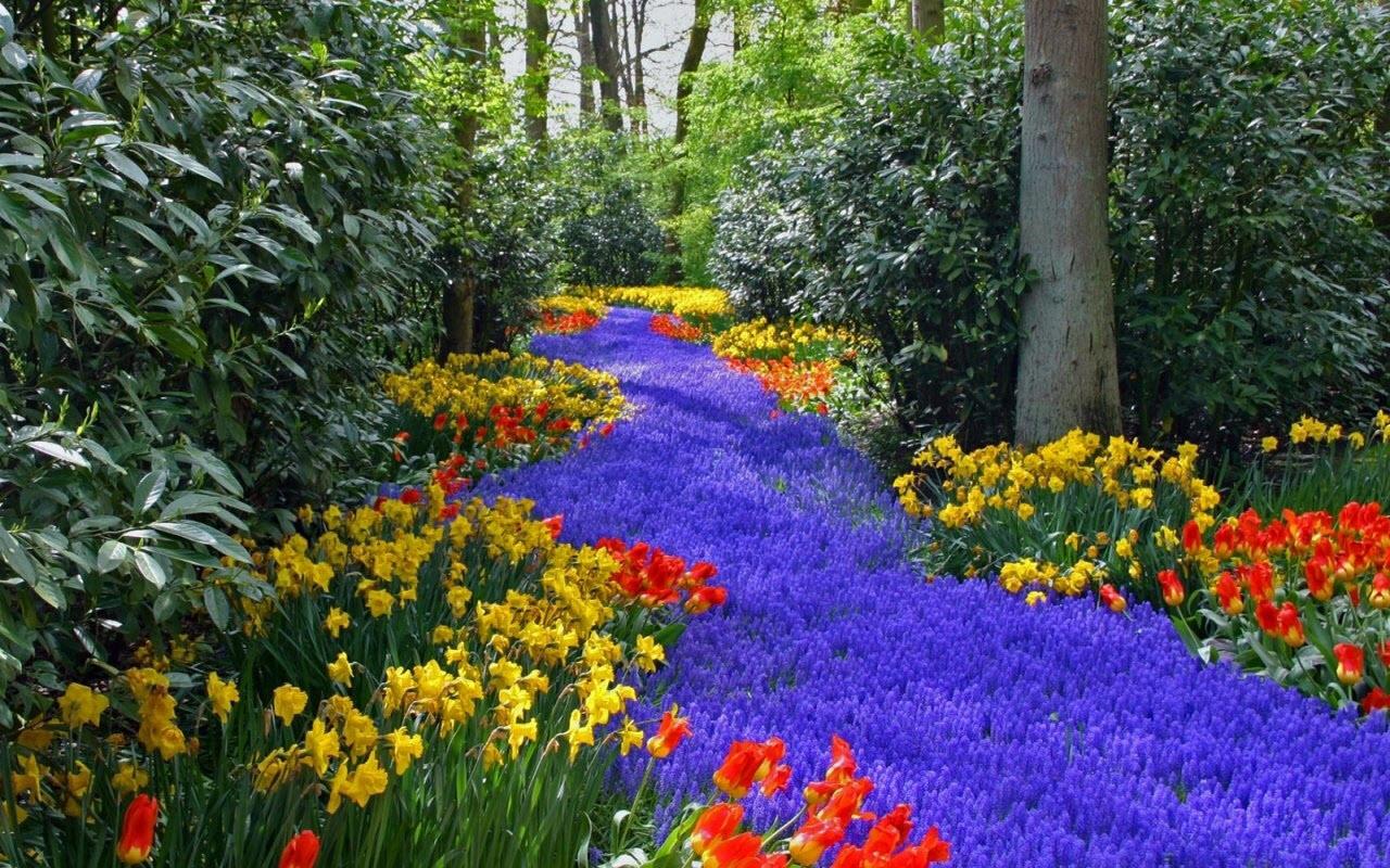 School Garden Wallpapers - Top Free School Garden Backgrounds ...