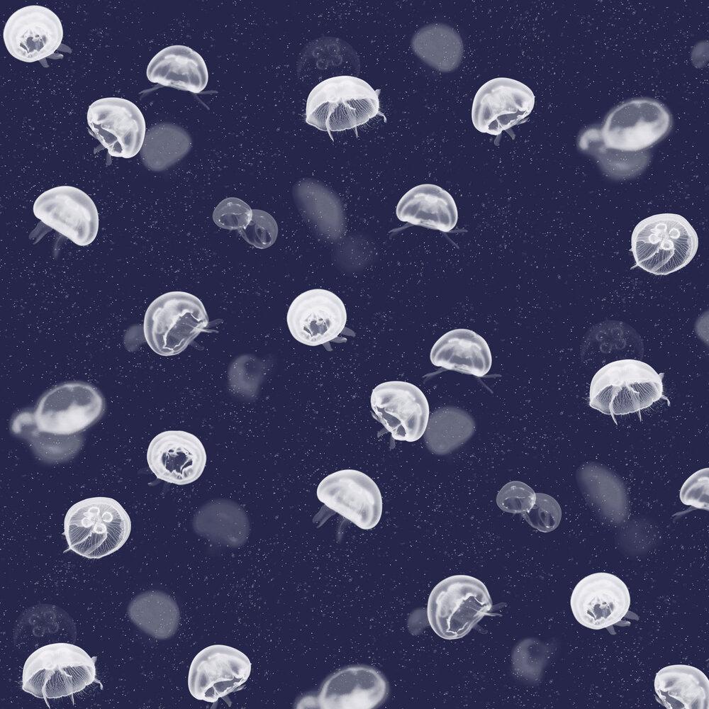 Blue Jellyfish Wallpapers - Top Free Blue Jellyfish Backgrounds ...