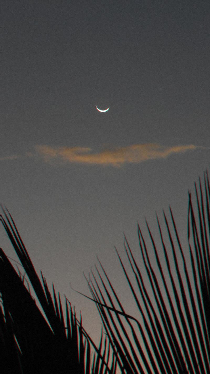 Crescent Moon Aesthetic Wallpapers - Top Free Crescent Moon Aesthetic ...