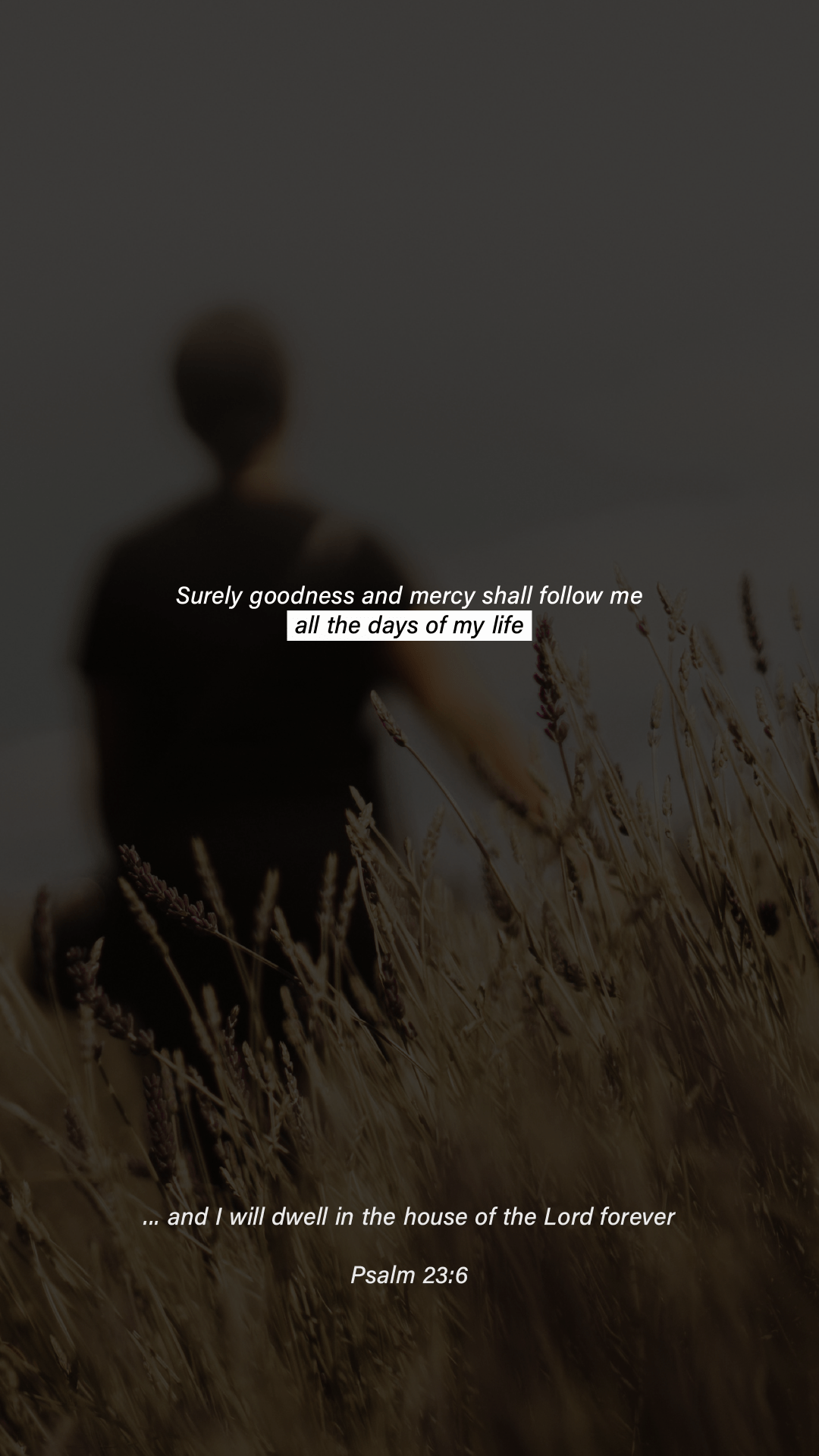 Follow Me Wallpapers - Top Free Follow Me Backgrounds - WallpaperAccess