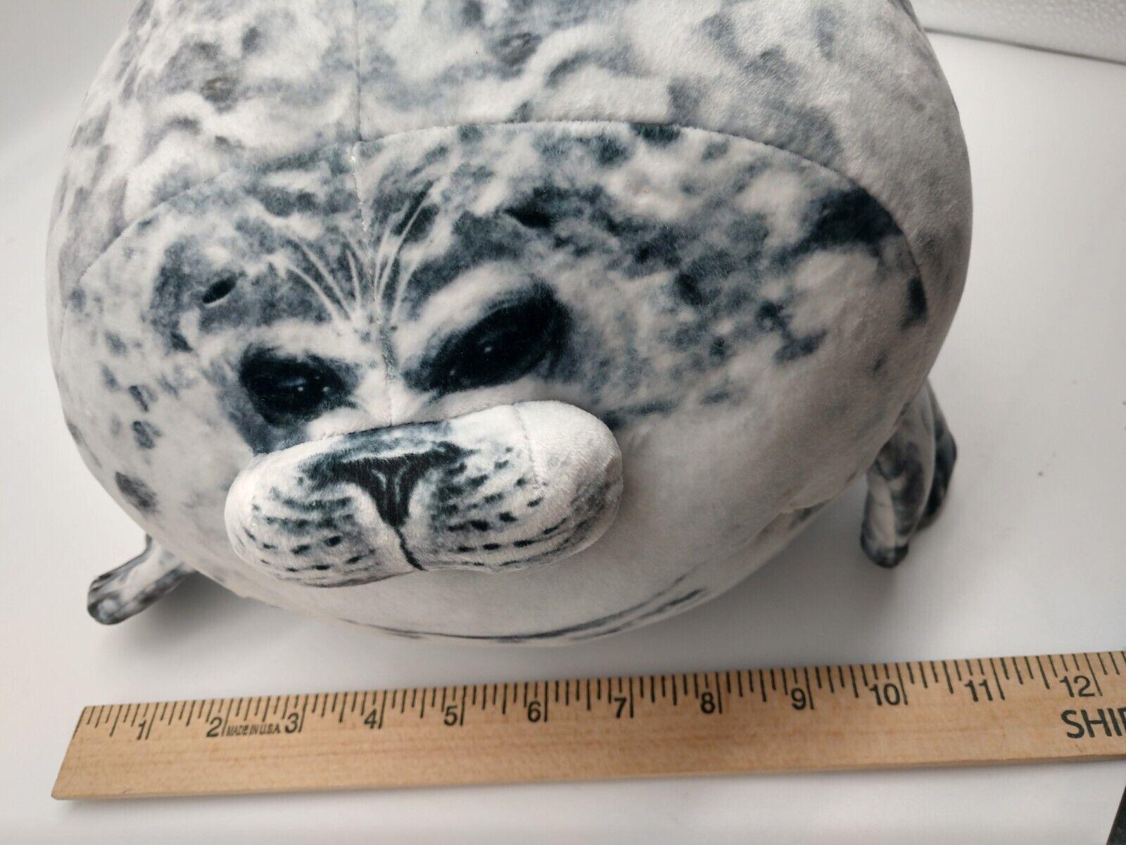 Fat Seal Wallpapers - Top Free Fat Seal Backgrounds - WallpaperAccess