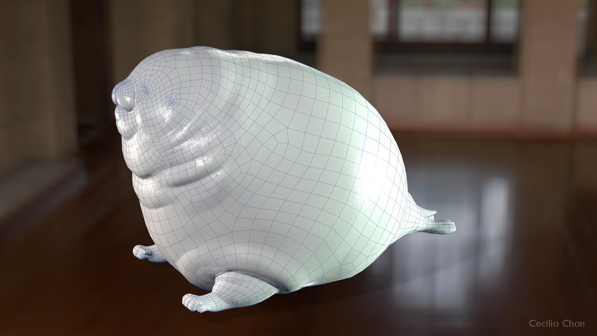 Fat Seal Wallpapers - Top Free Fat Seal Backgrounds - WallpaperAccess