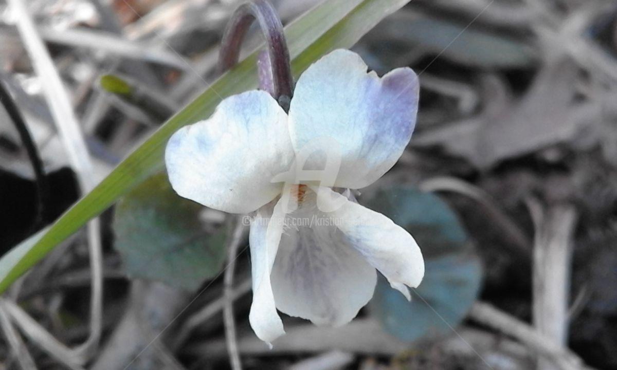 Medical Flower Wallpapers - Top Free Medical Flower Backgrounds ...