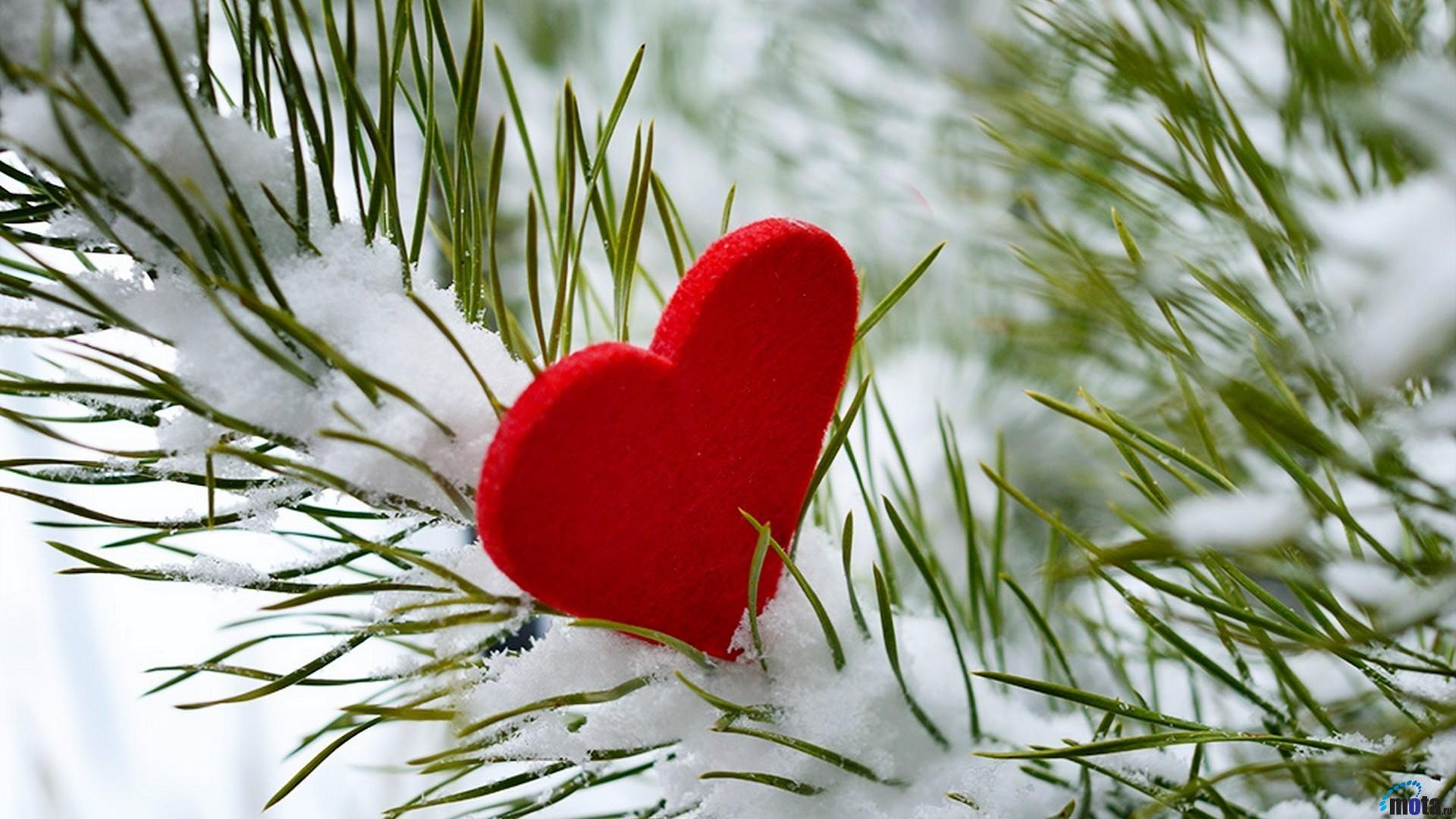 Winter Heart Wallpapers - Top Free Winter Heart Backgrounds ...