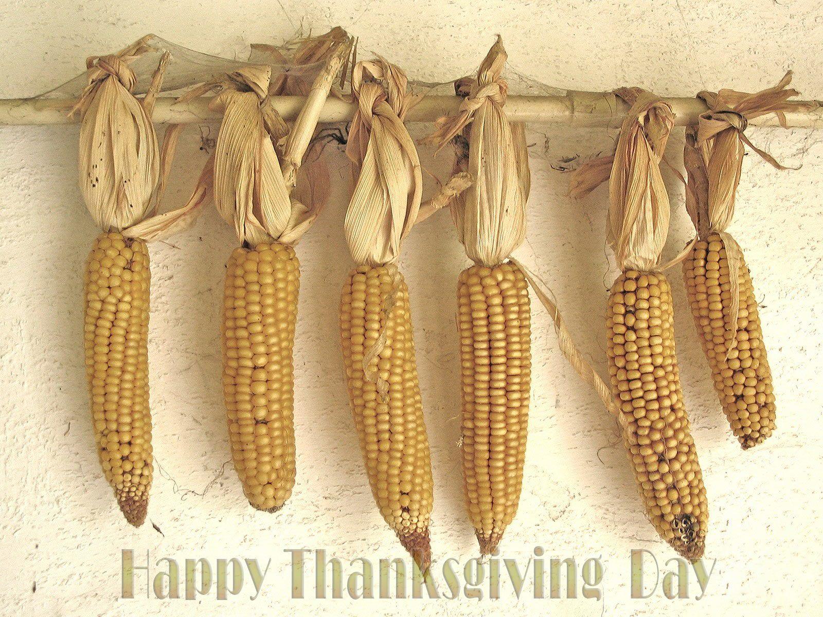 Thanksgiving Corn Wallpapers - Top Free Thanksgiving Corn Backgrounds ...