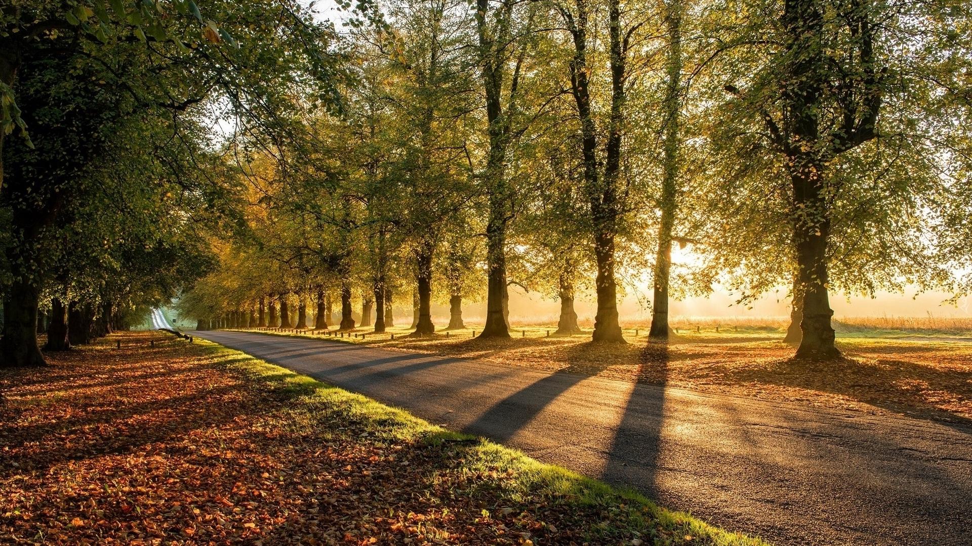 Autumn Sunshine Wallpapers - Top Free Autumn Sunshine Backgrounds ...