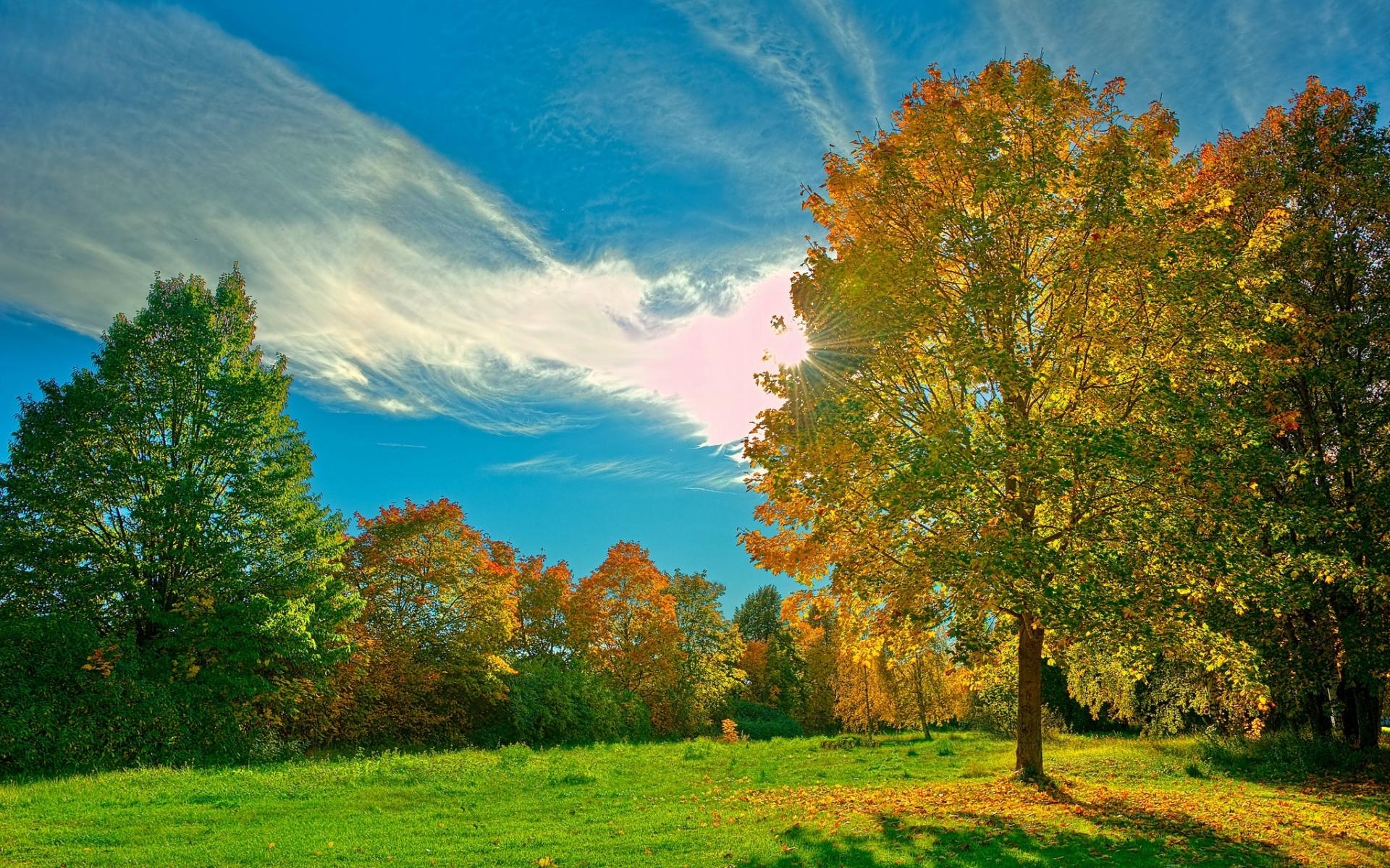 Autumn Sunshine Wallpapers - Top Free Autumn Sunshine Backgrounds ...