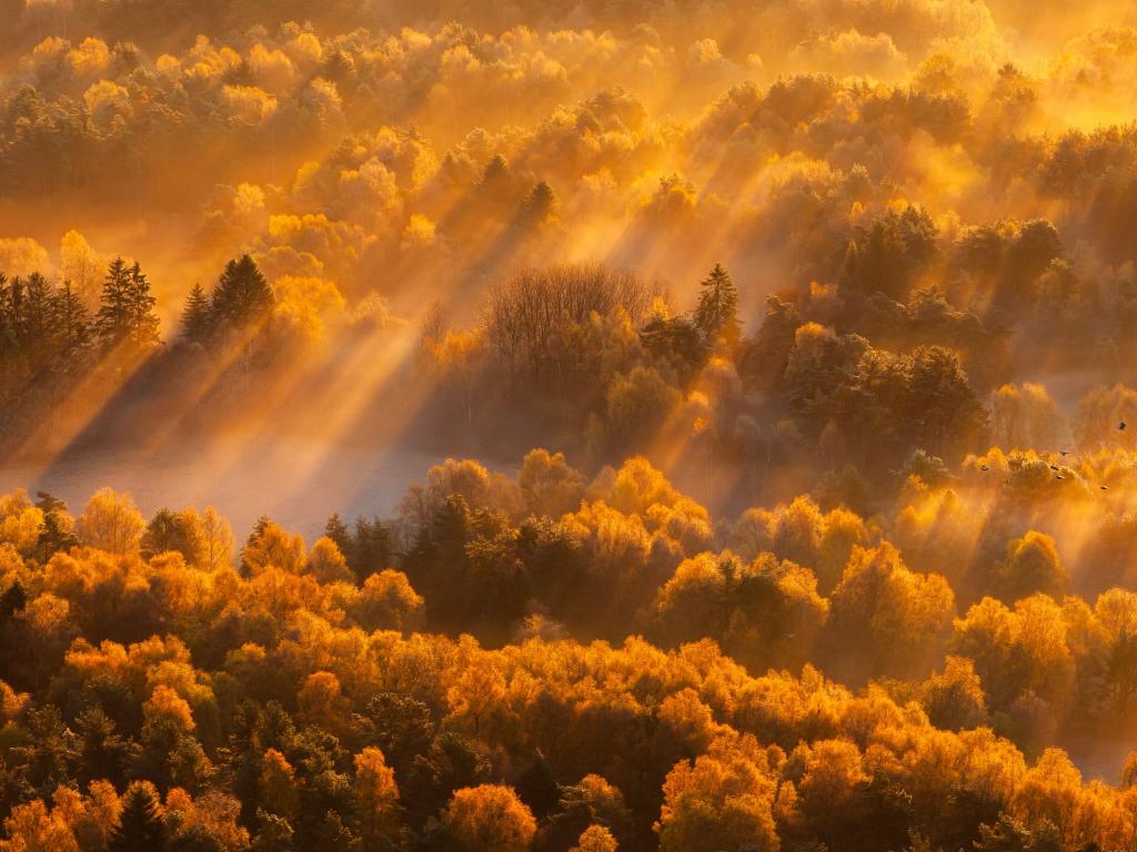 Autumn Sunshine Wallpapers - Top Free Autumn Sunshine Backgrounds ...