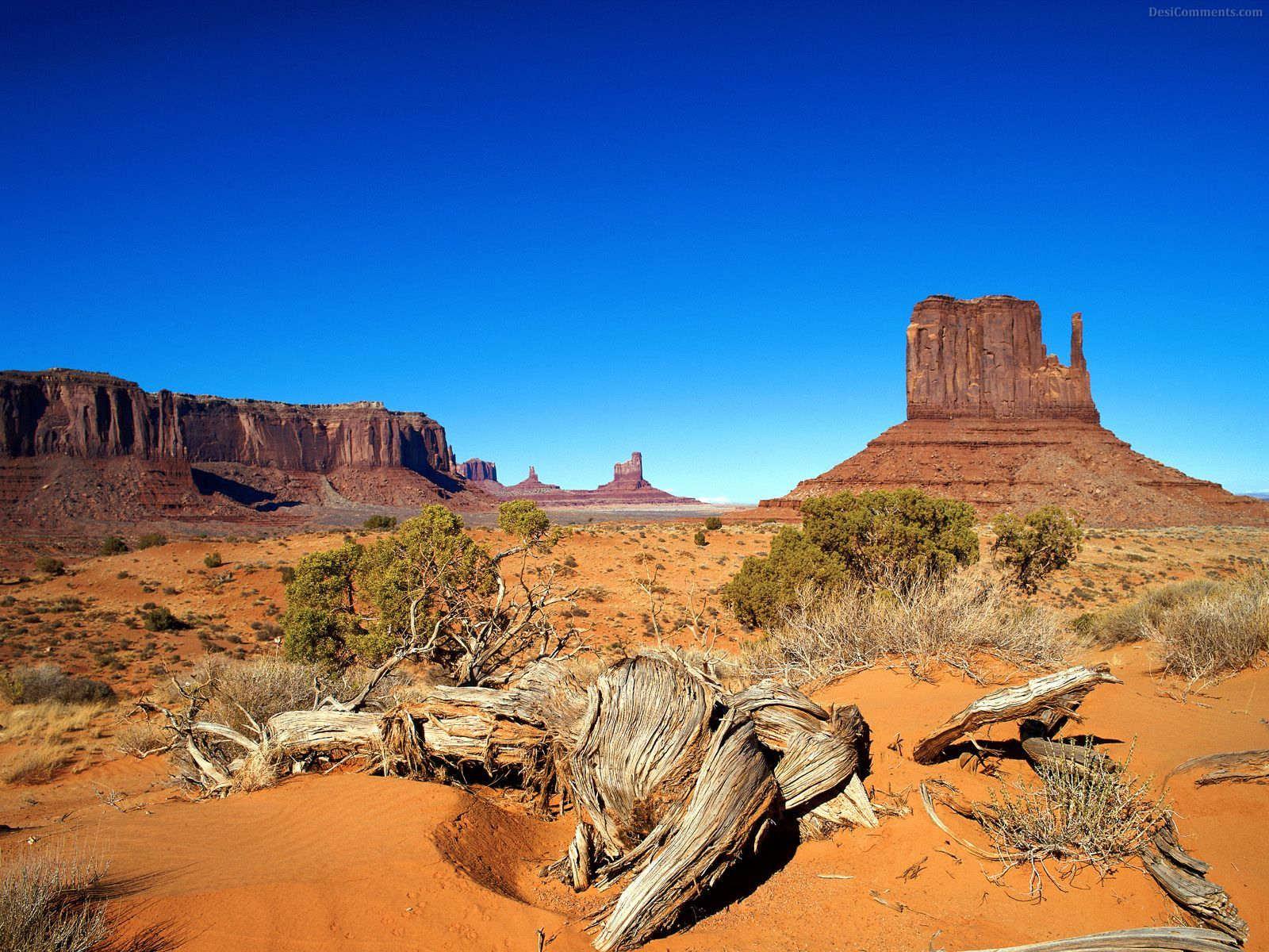 Arizona Desert 4K Wallpapers - Top Free Arizona Desert 4K Backgrounds ...