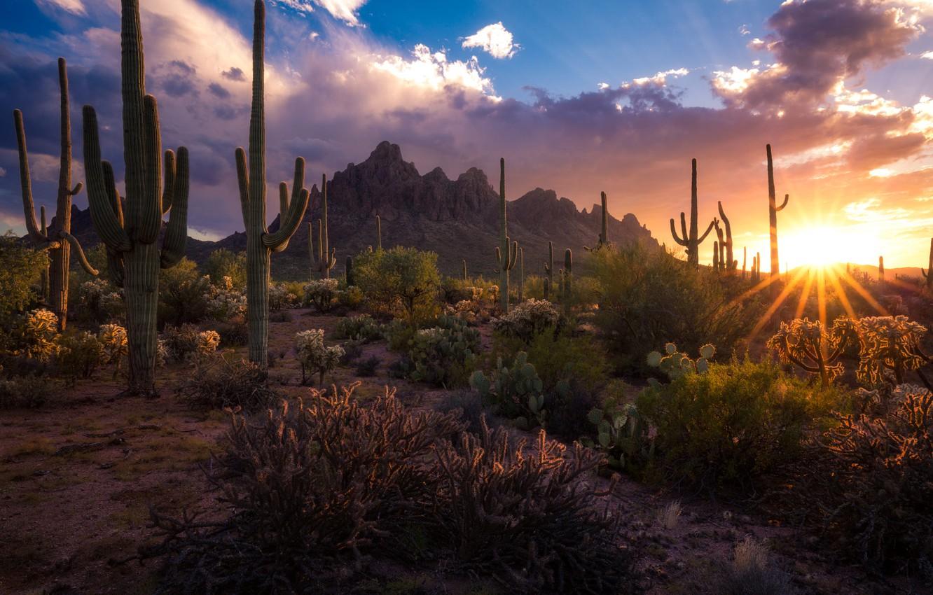 Arizona Desert 4K Wallpapers - Top Free Arizona Desert 4K Backgrounds ...