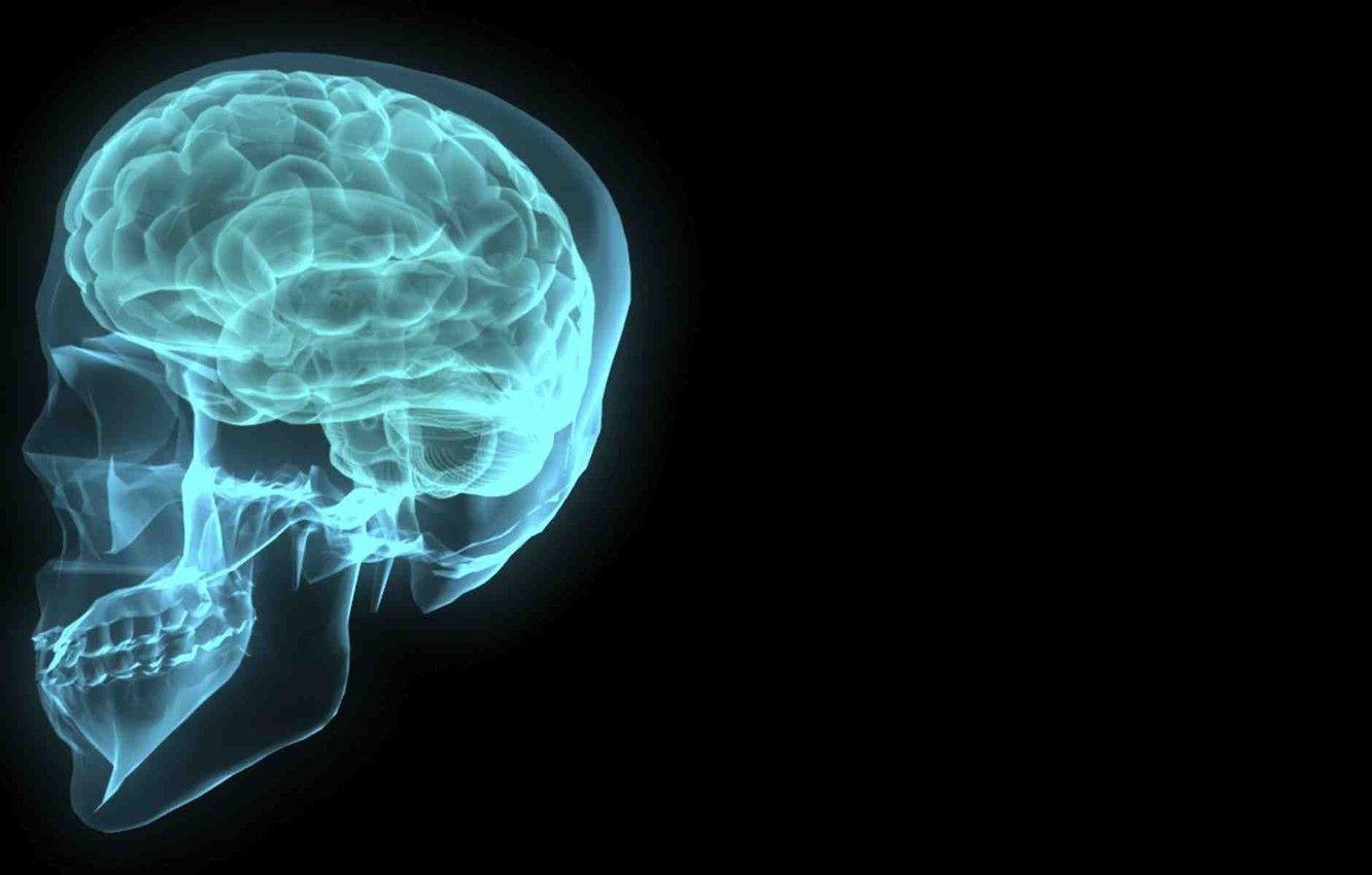 Medical Science Wallpapers - Top Free Medical Science Backgrounds ...