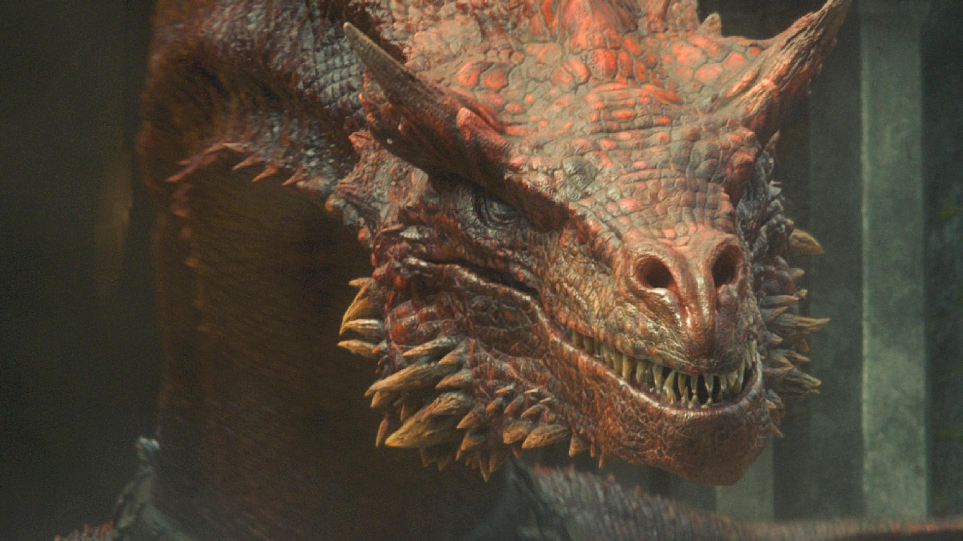 Caraxes Wallpapers - Top Free Caraxes Backgrounds - WallpaperAccess