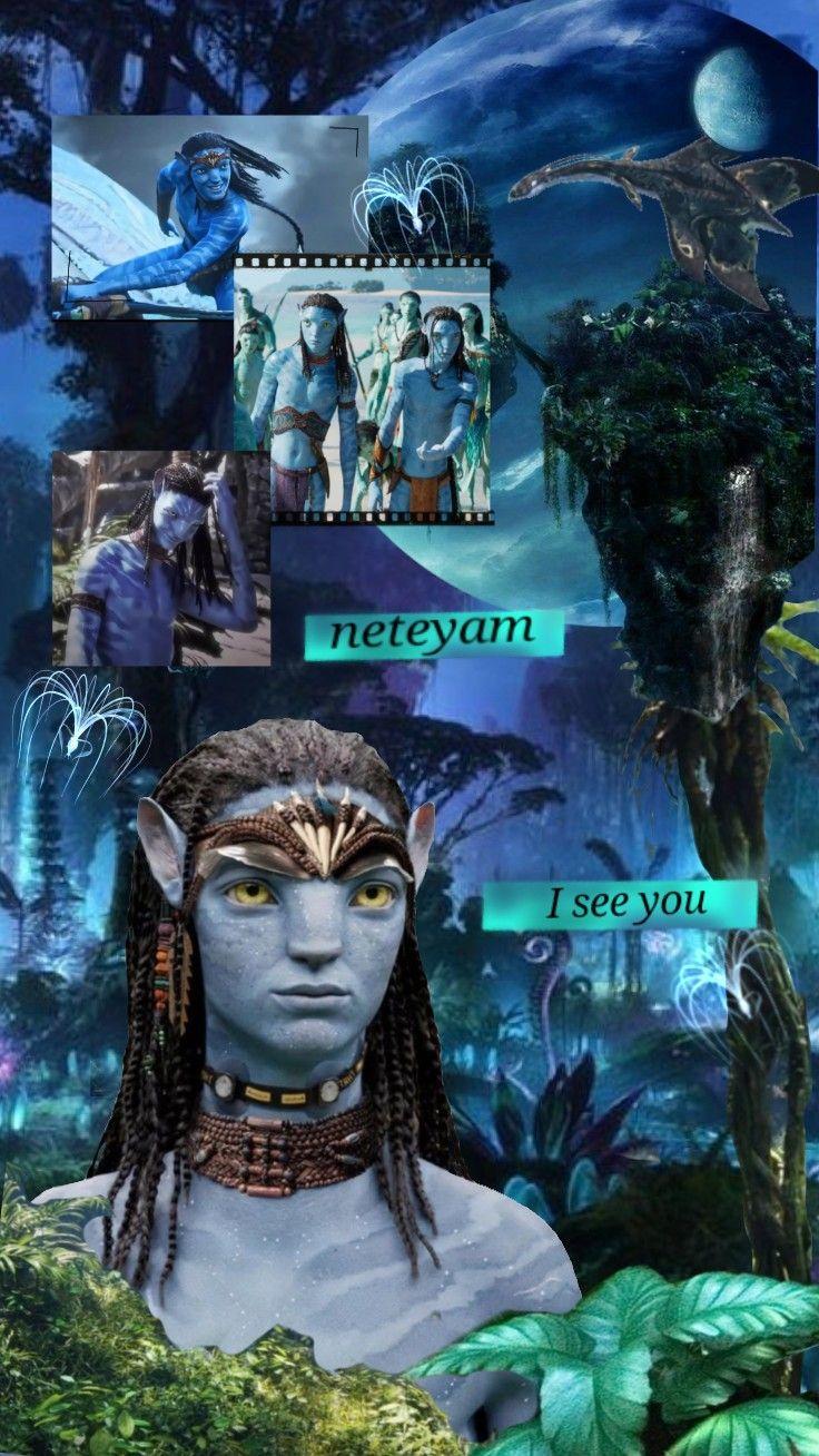 Neteyam Wallpapers - Top Free Neteyam Backgrounds - WallpaperAccess