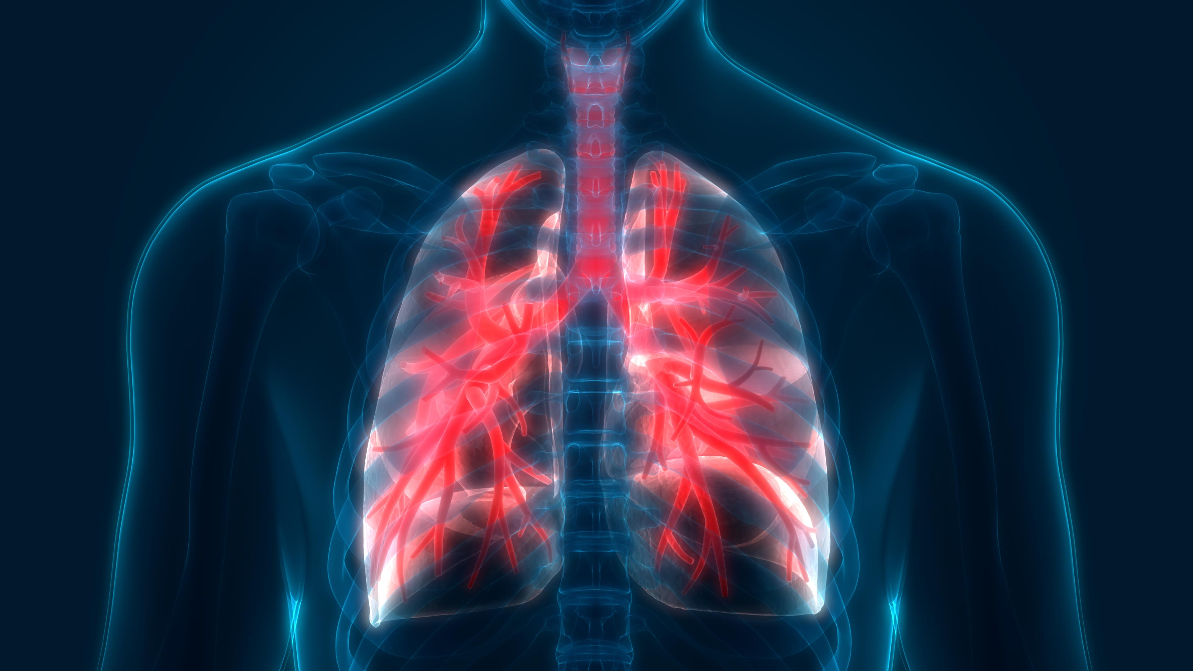 Respiratory System Wallpapers - Top Free Respiratory System Backgrounds ...