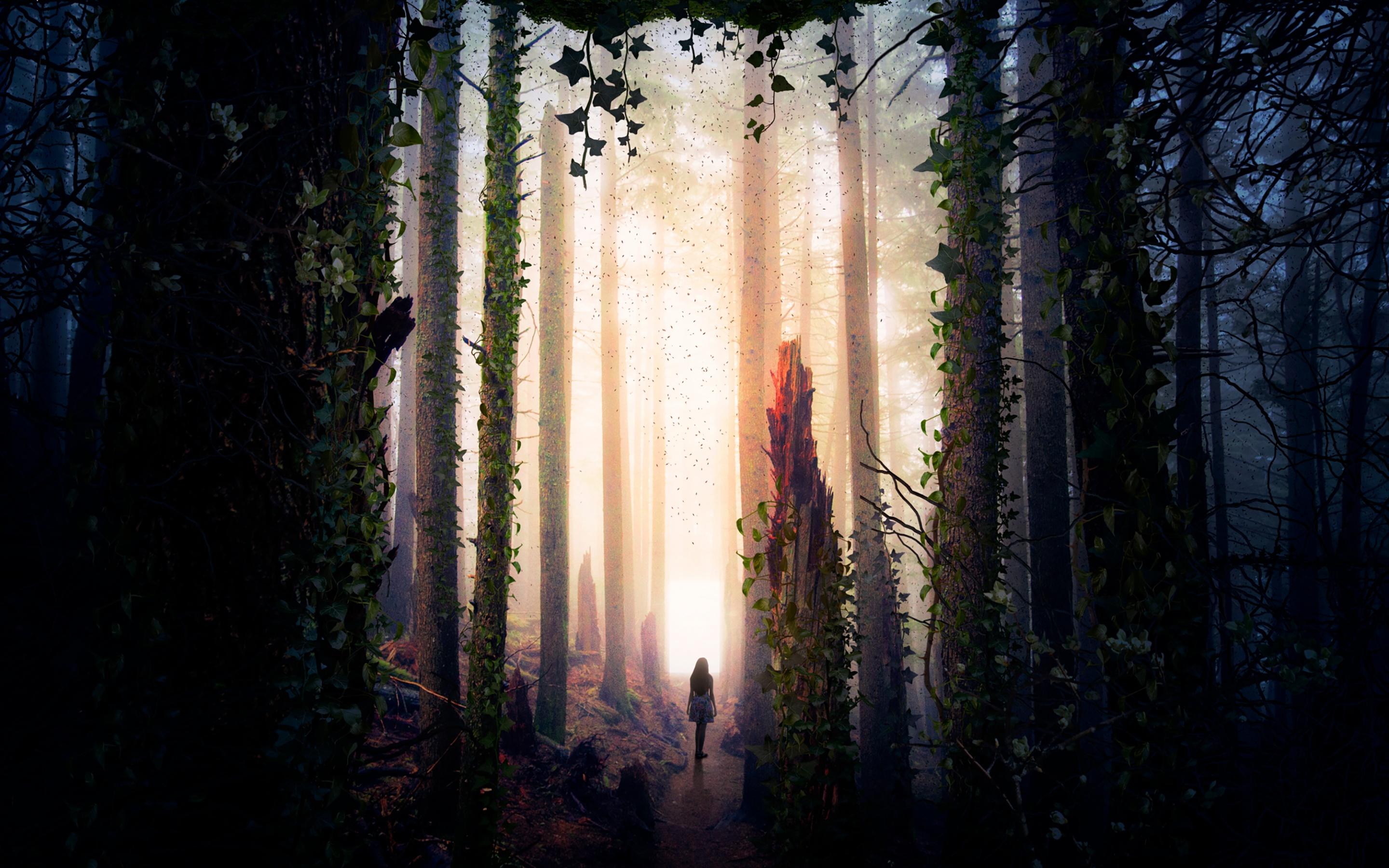 Mystic Forest Wallpapers - Top Free Mystic Forest Backgrounds ...