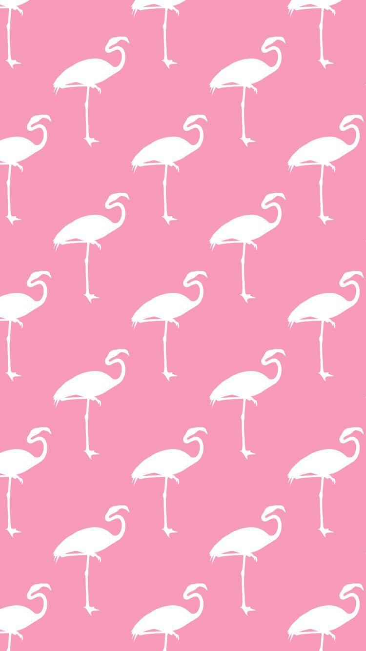 Flamingo iPhone Wallpapers - Top Free Flamingo iPhone Backgrounds ...
