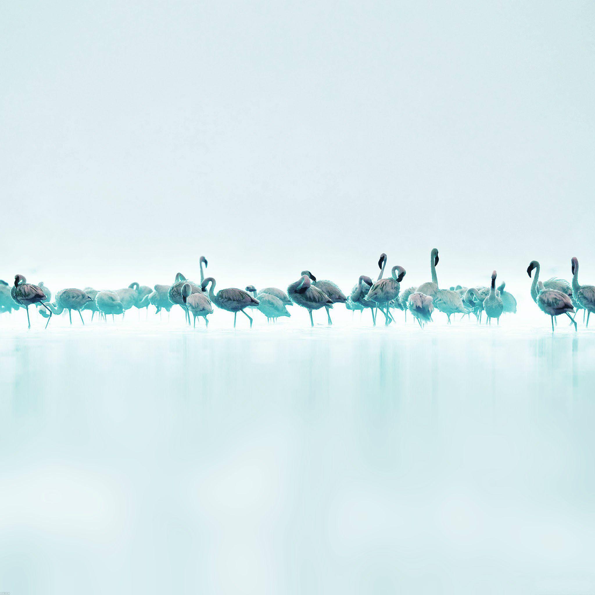 Blue Peace Wallpapers - Top Free Blue Peace Backgrounds - WallpaperAccess