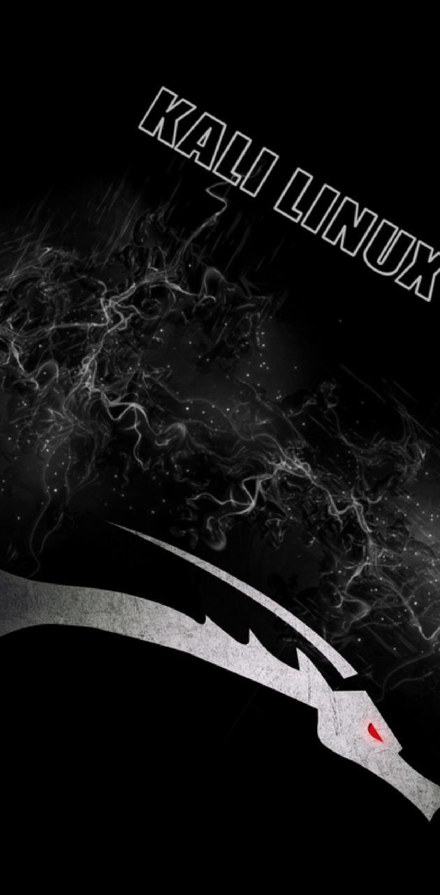 Kali Linux iPhone Wallpapers - Top Free Kali Linux iPhone Backgrounds ...