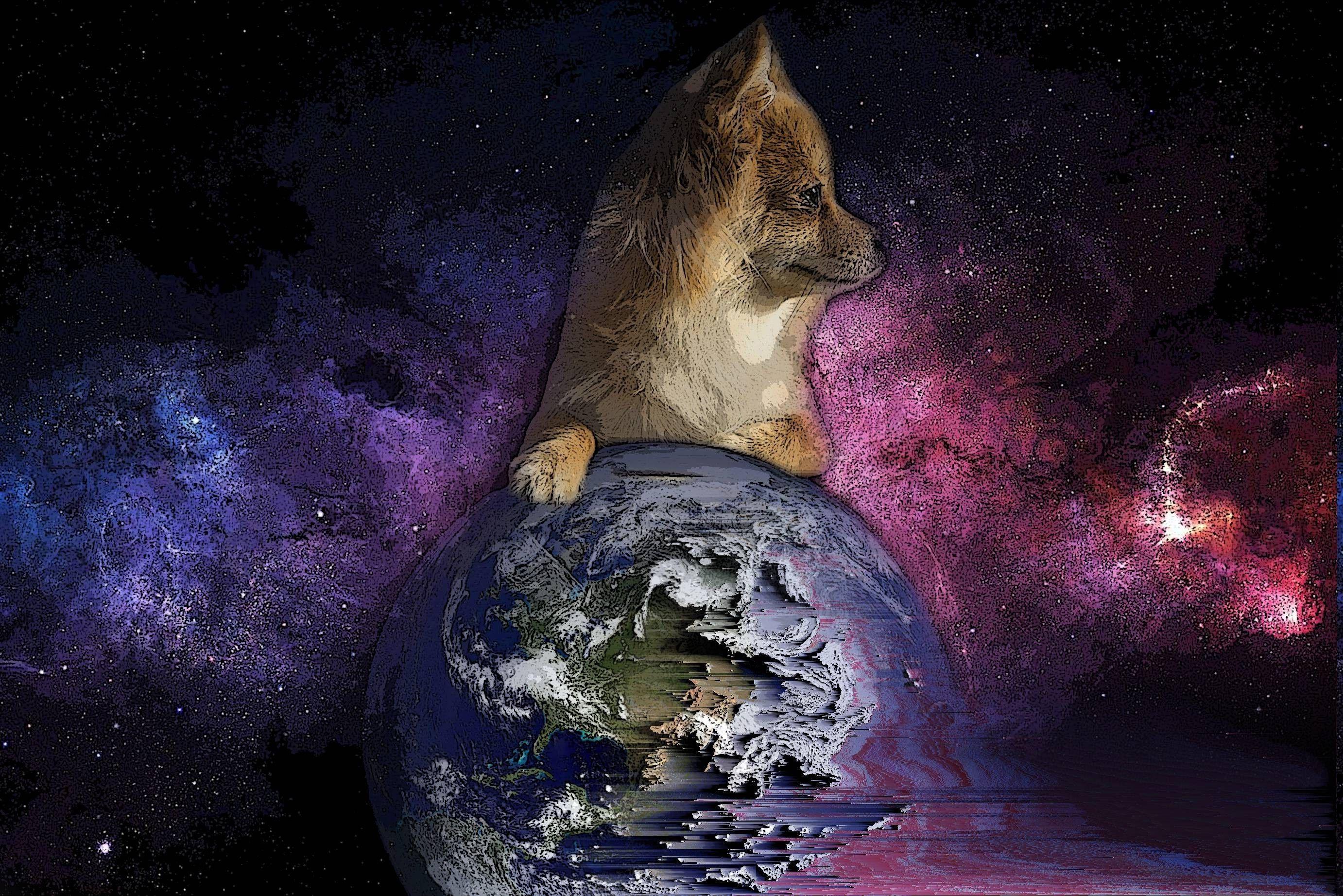 Earth Wolf Wallpapers - Top Free Earth Wolf Backgrounds - WallpaperAccess