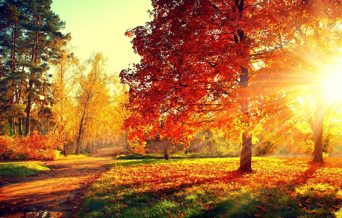 Beautiful Fall Sunset Wallpapers - Top Free Beautiful Fall Sunset ...
