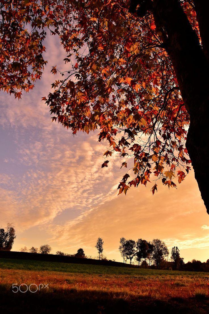 Beautiful Fall Sunset Wallpapers - Top Free Beautiful Fall Sunset ...