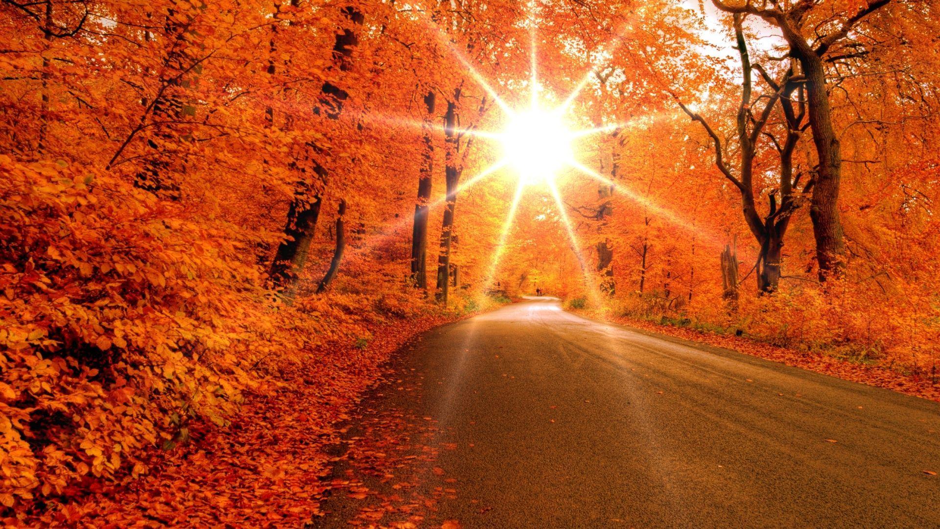 Beautiful Fall Sunset Wallpapers - Top Free Beautiful Fall Sunset ...