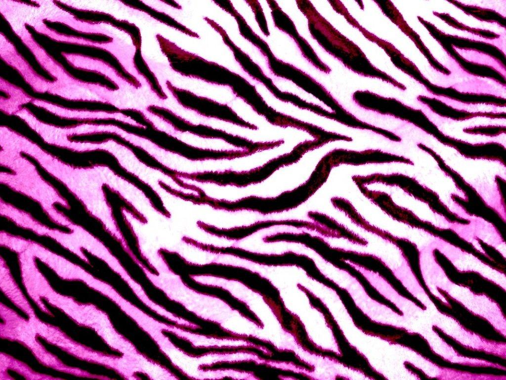 Zebra Print Wallpapers - Top Free Zebra Print Backgrounds - WallpaperAccess