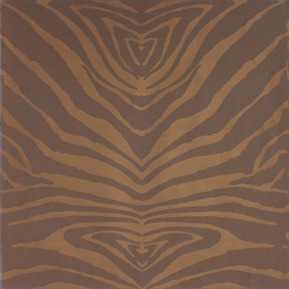 Zebra Print Wallpapers - Top Free Zebra Print Backgrounds - WallpaperAccess