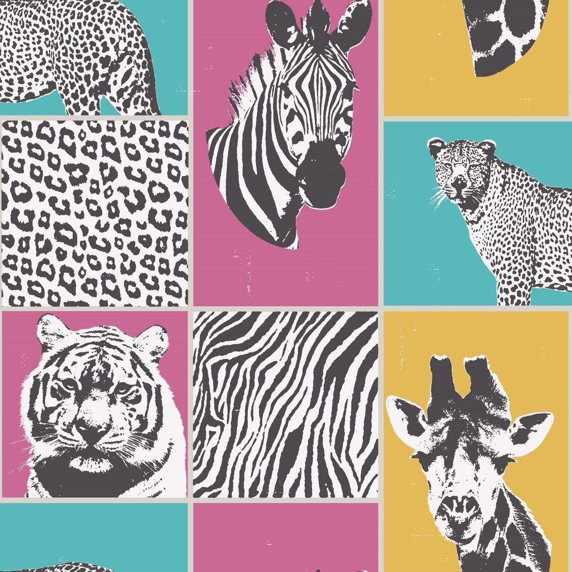 Zebra Print Wallpapers - Top Free Zebra Print Backgrounds - WallpaperAccess