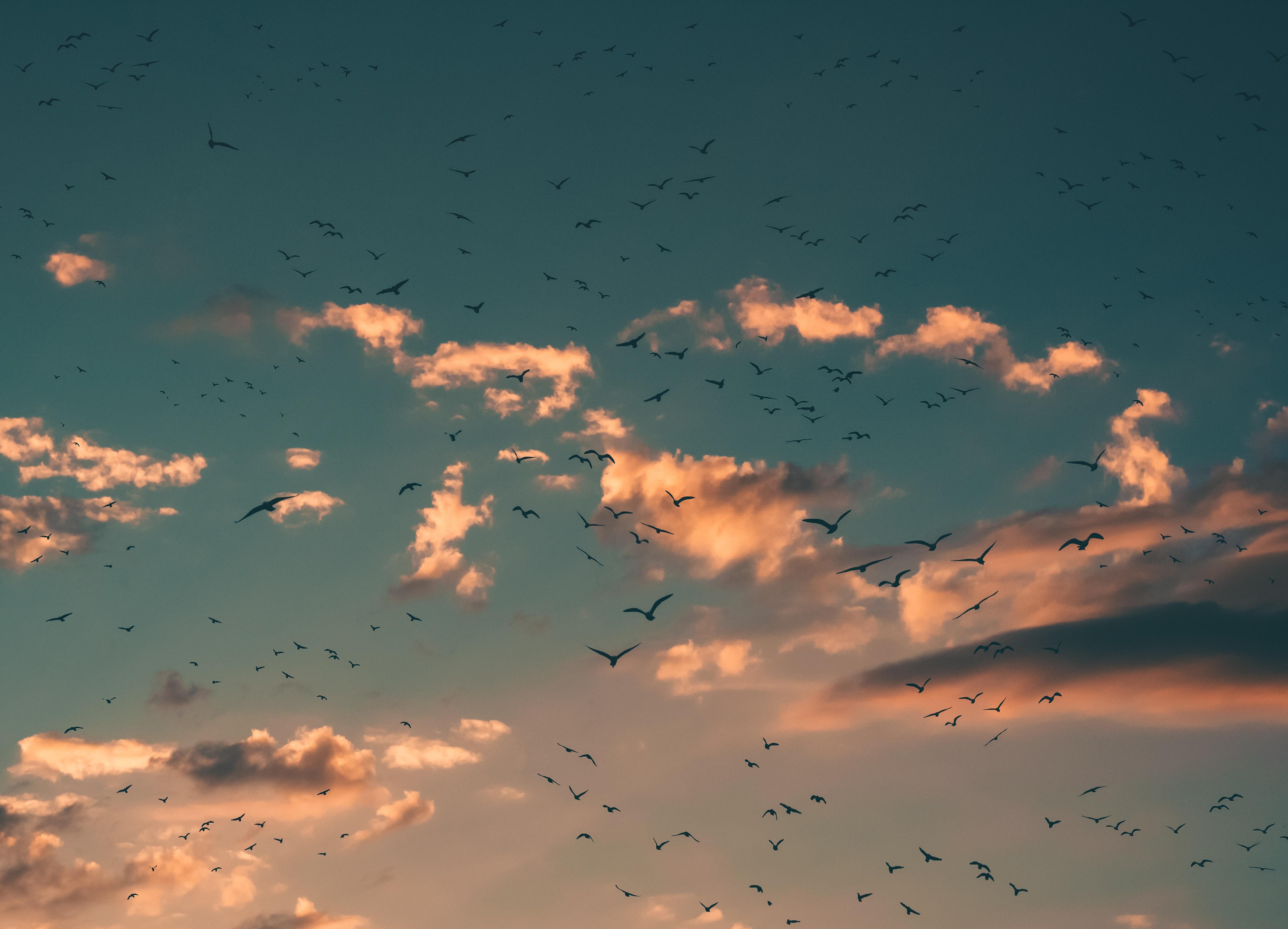 Sky Love Wallpapers - Top Free Sky Love Backgrounds - WallpaperAccess