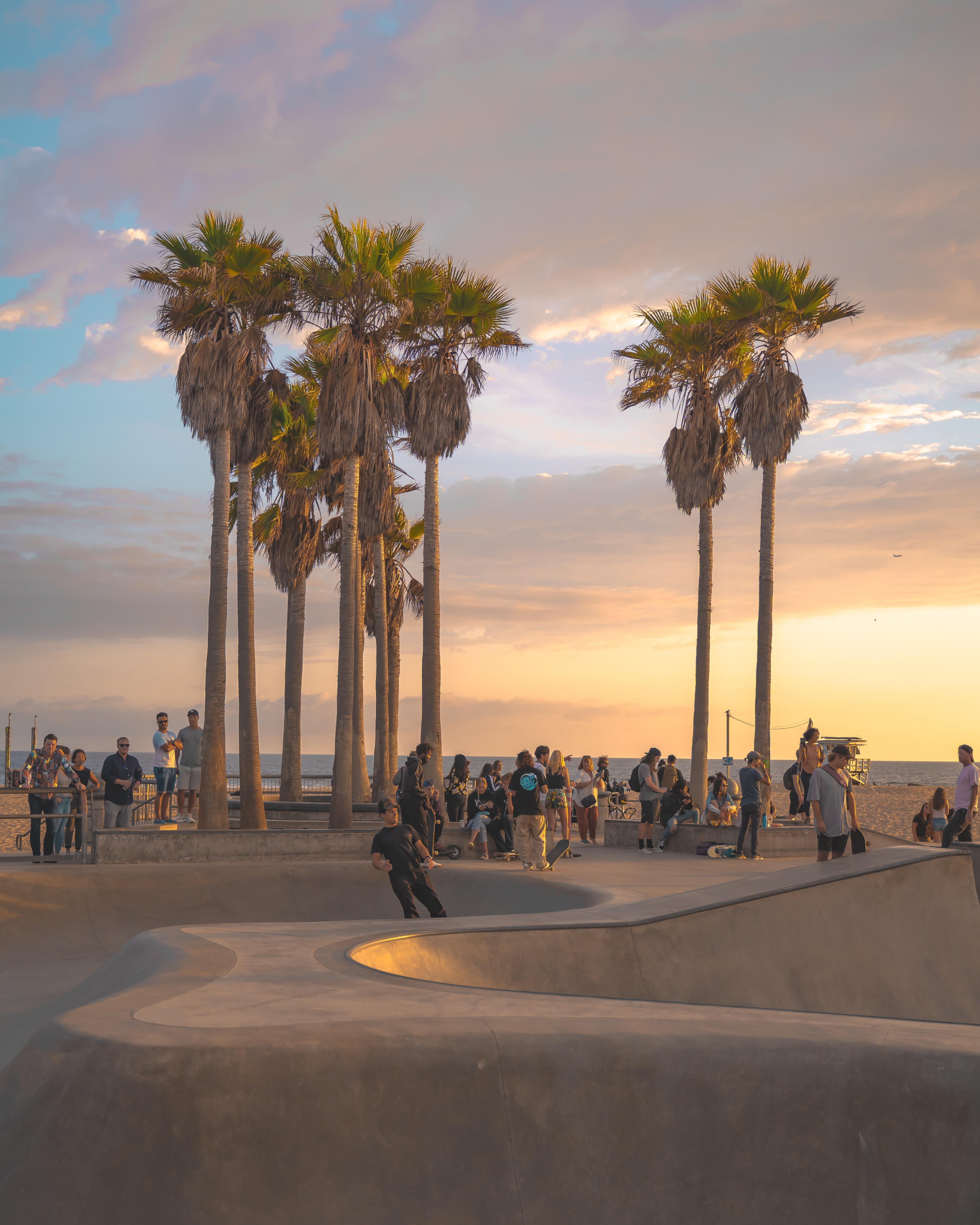 Venice Beach Skate Park Wallpapers - Top Free Venice Beach Skate Park ...
