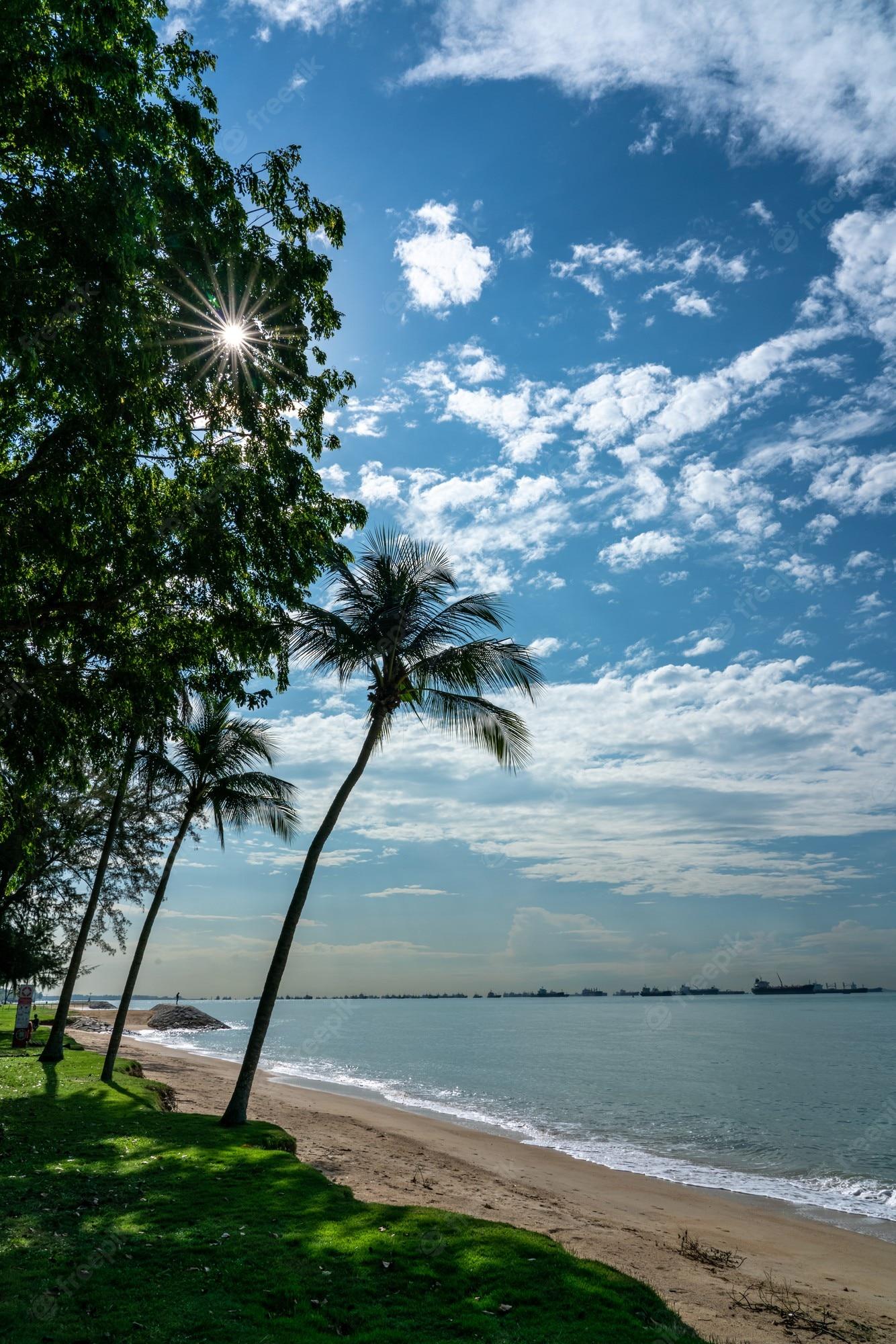 East Coast Beach Wallpapers - Top Free East Coast Beach Backgrounds ...