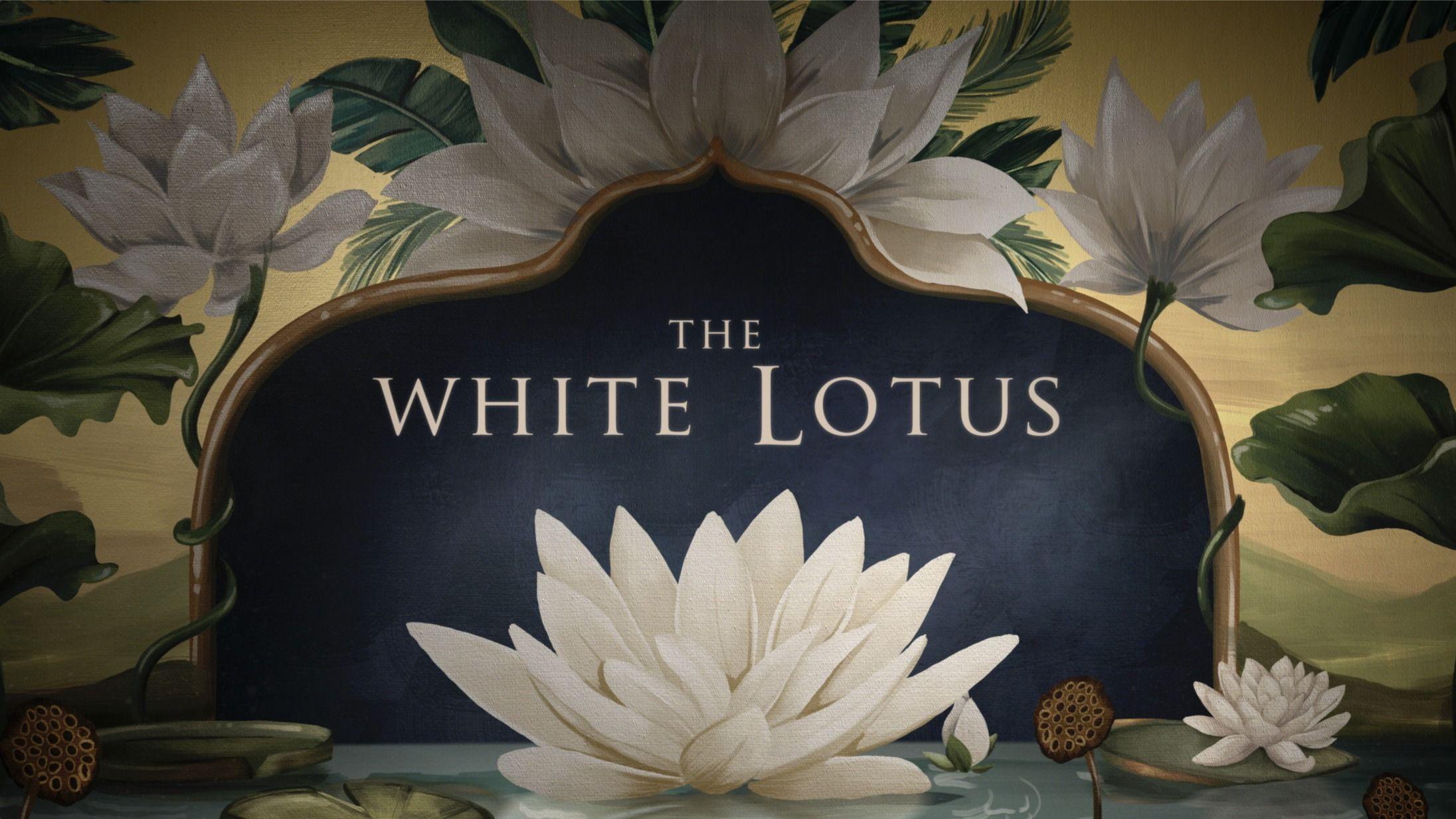 The White Lotus Wallpapers - Top Free The White Lotus Backgrounds ...