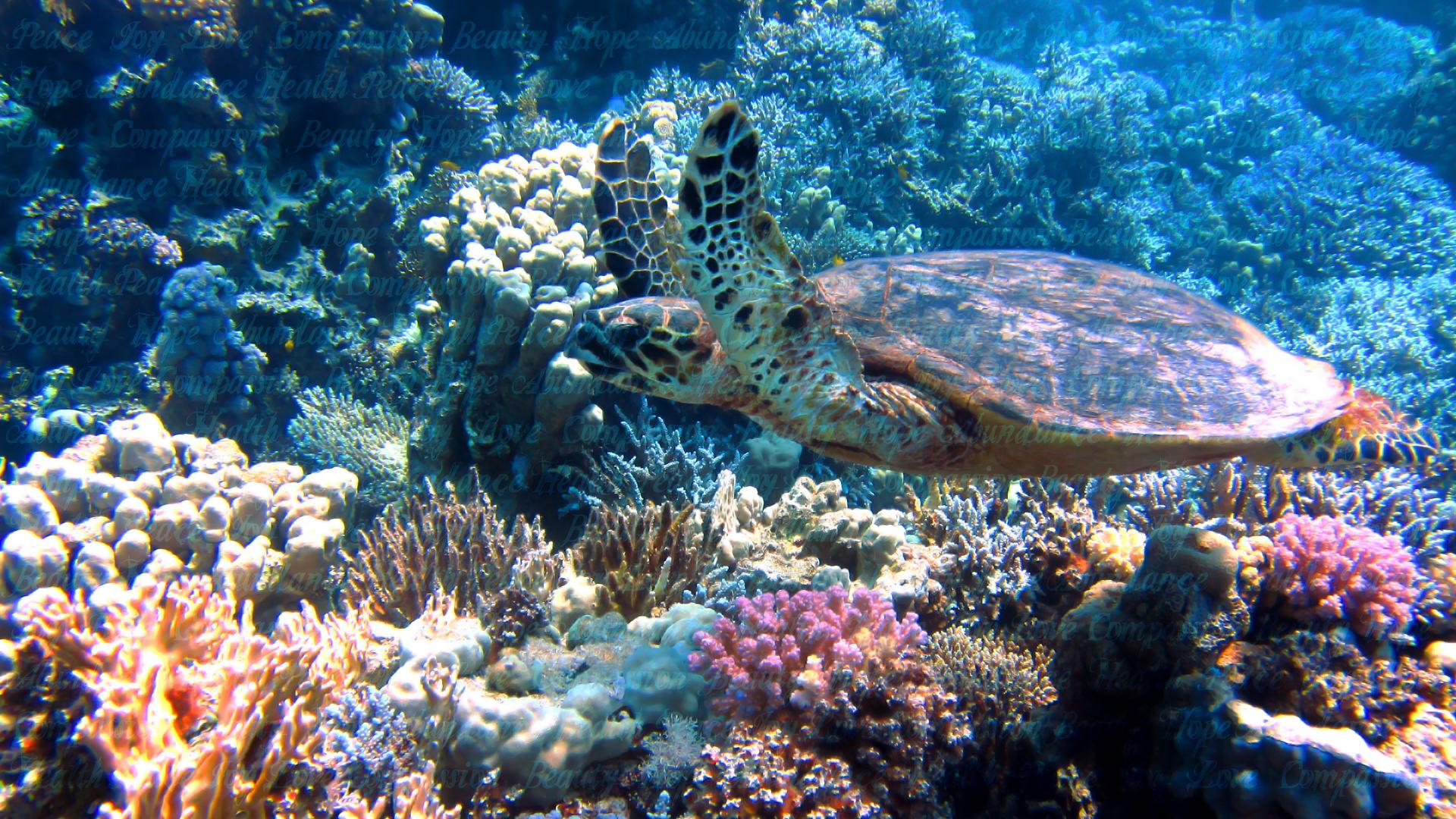 Subliminal Wallpapers - Top Free Subliminal Backgrounds - WallpaperAccess