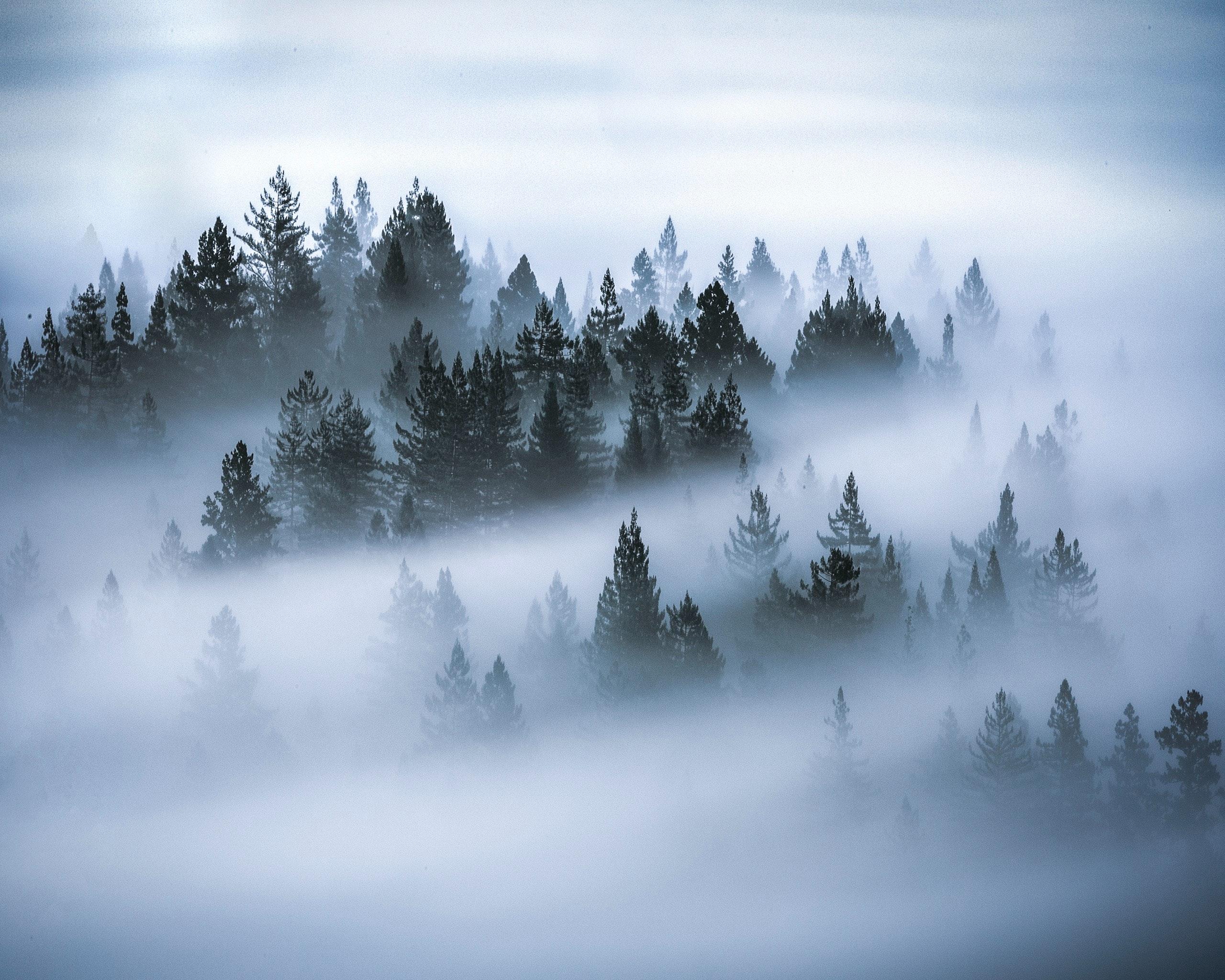 Blue Fog Wallpapers - Top Free Blue Fog Backgrounds - WallpaperAccess
